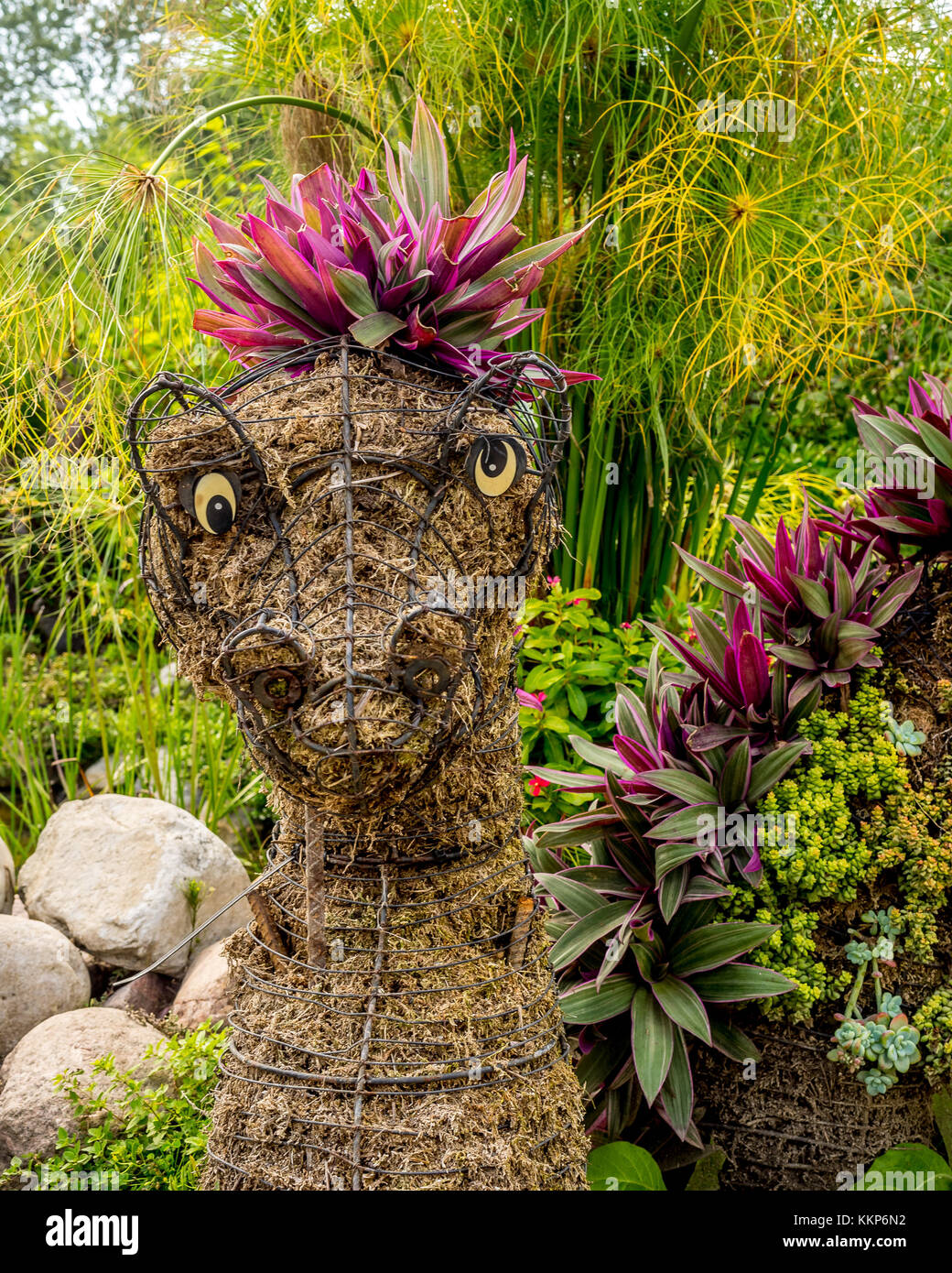 Floral dragon display Stock Photo - Alamy