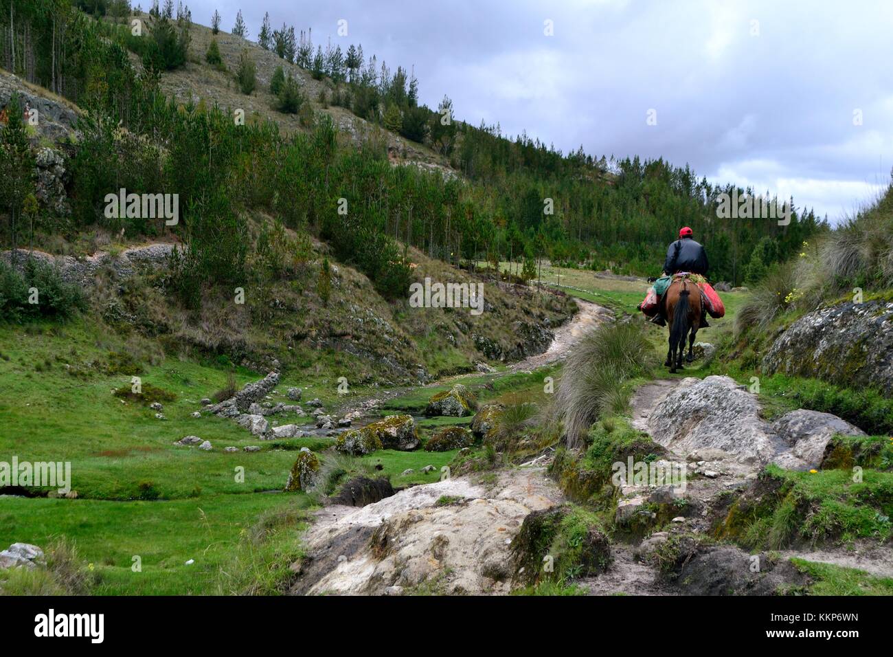 Cumbemayo archeological site in CAJAMARCA. Department of Cajamarca ...