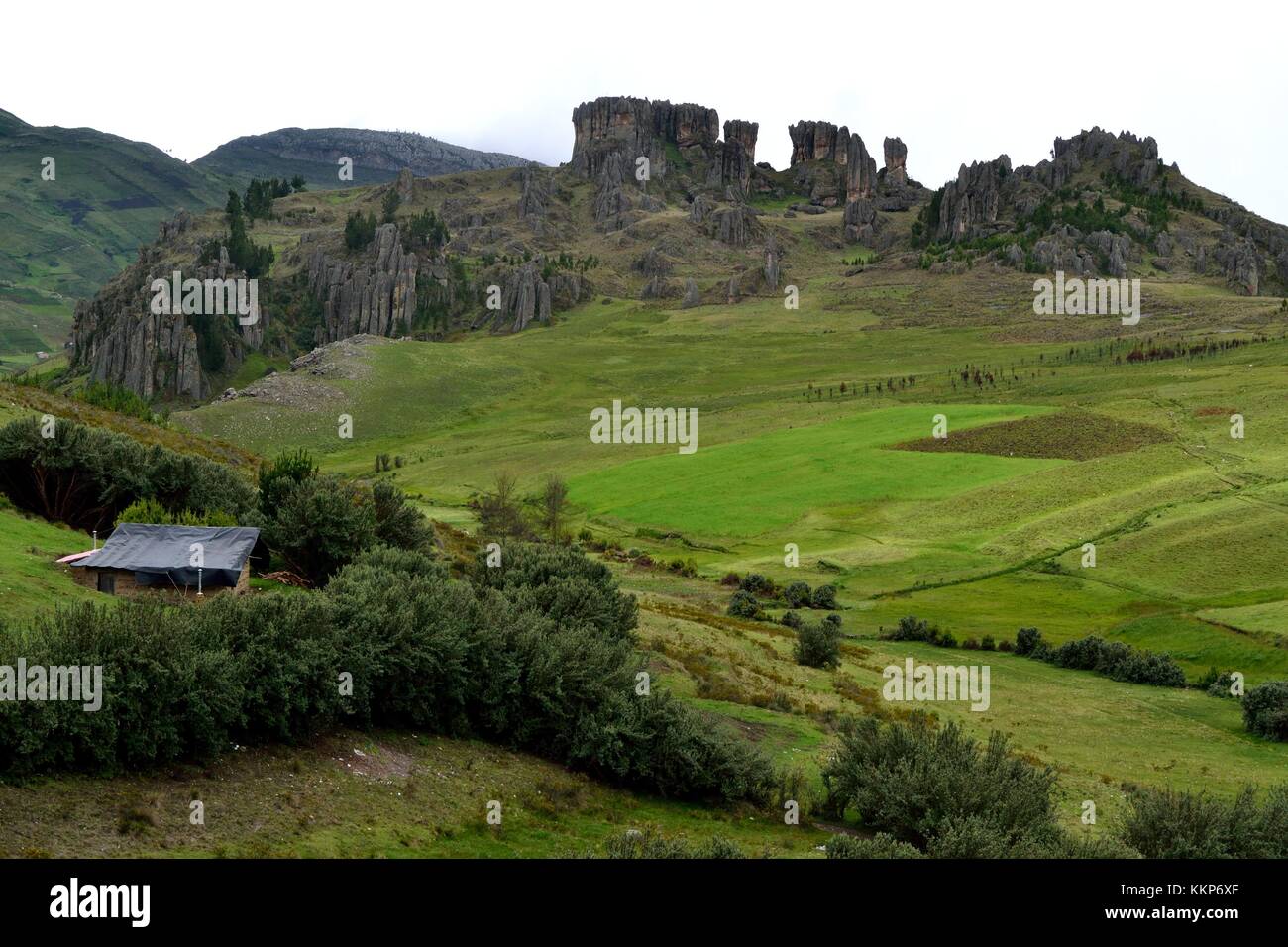 Cumbemayo archeological site in CAJAMARCA. Department of Cajamarca ...