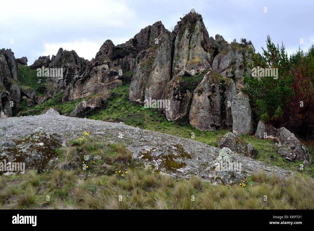 Cumbemayo archeological site in CAJAMARCA. Department of Cajamarca ...