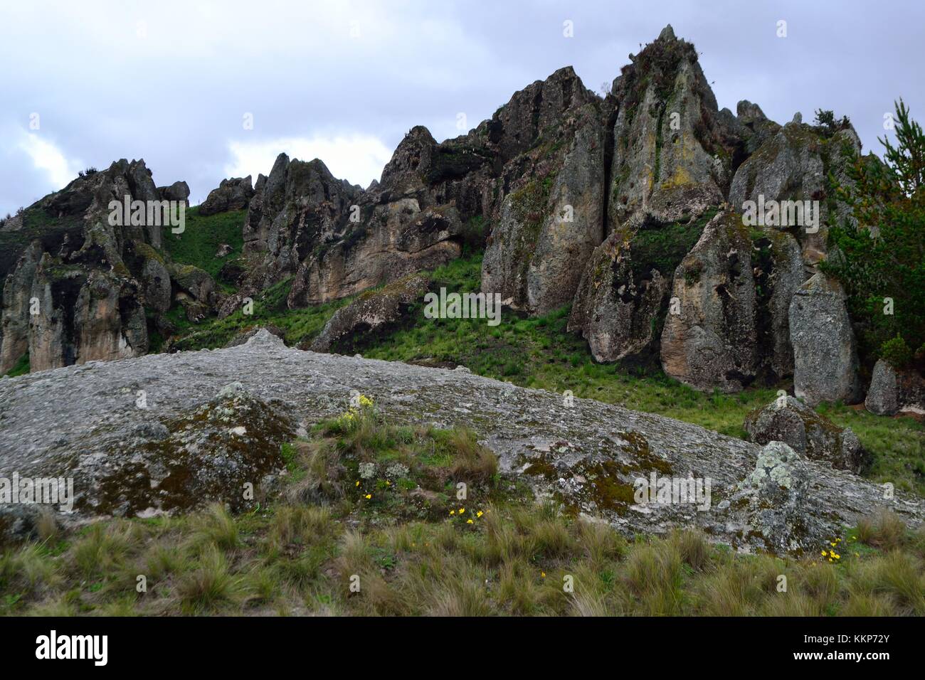 Cumbemayo archeological site in CAJAMARCA. Department of Cajamarca ...