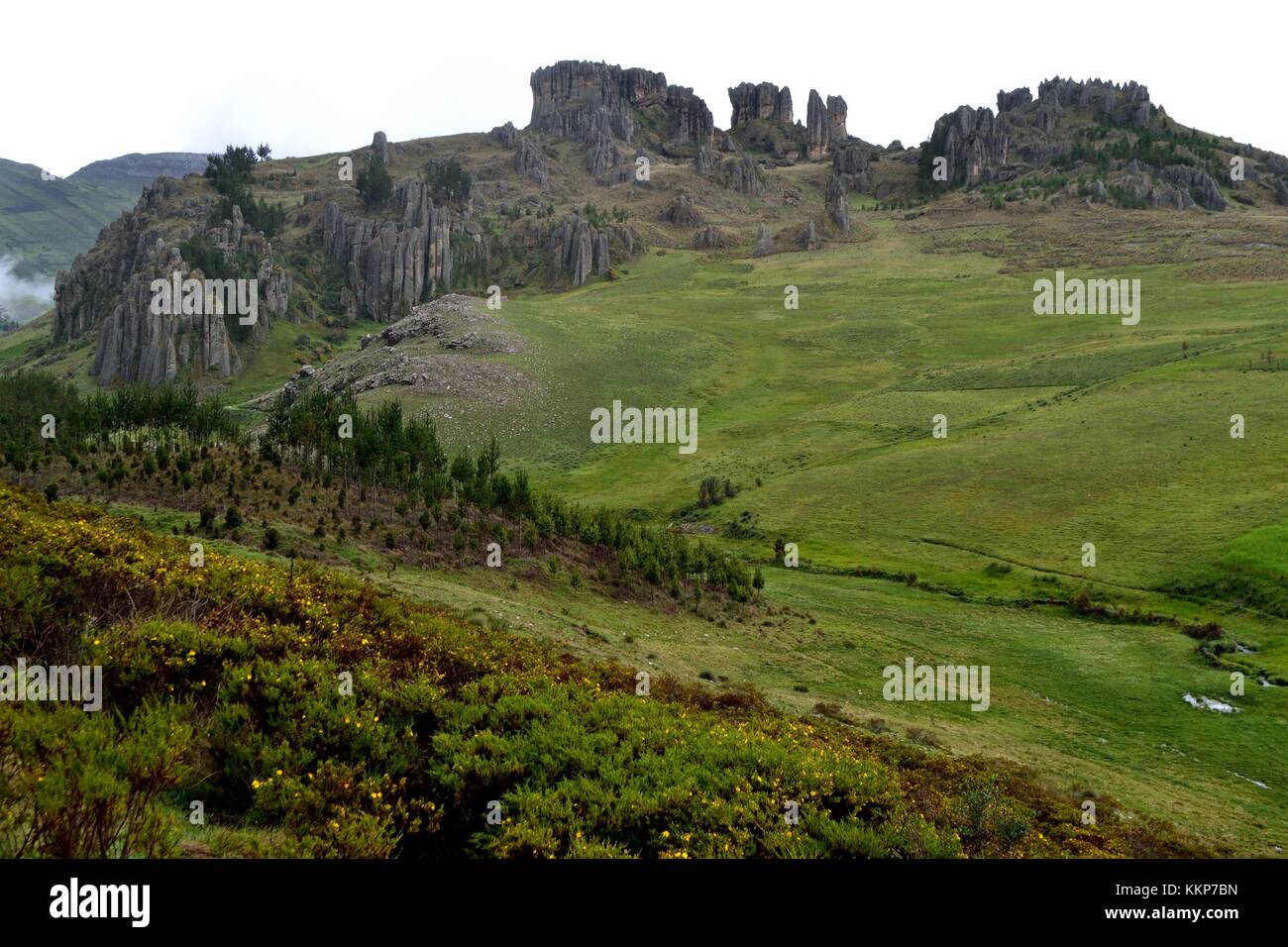 Cumbemayo archeological site in CAJAMARCA. Department of Cajamarca ...