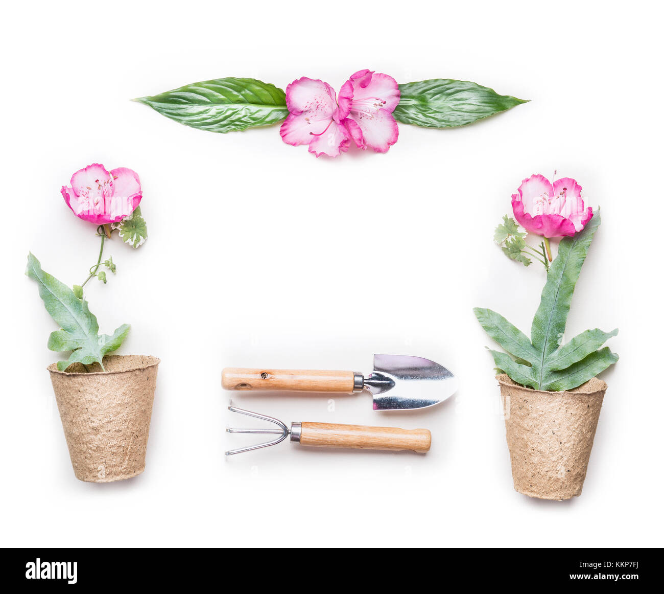 Plant pots garden water Cut Out Stock Images & Pictures - Alamy