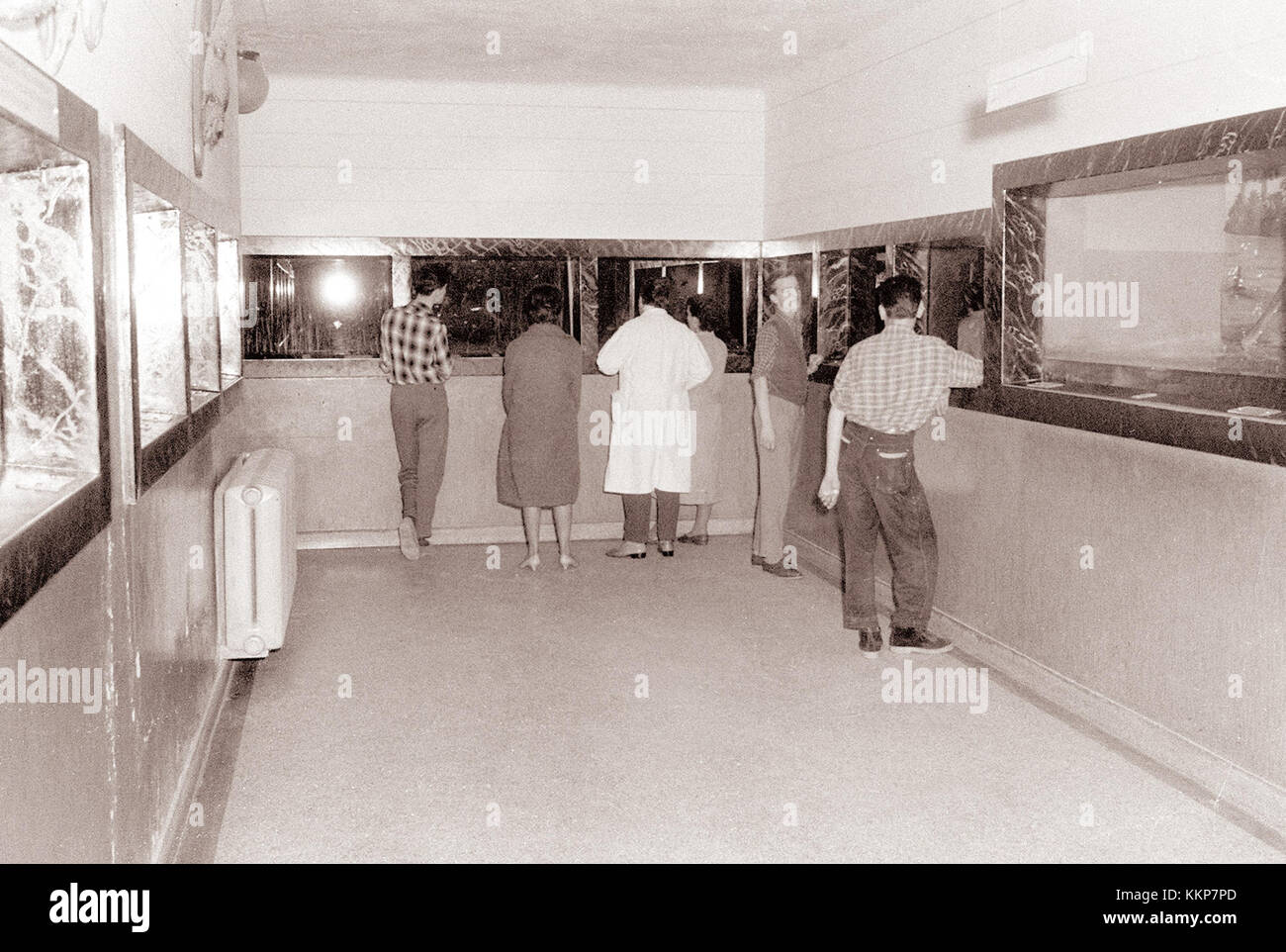 A historical photograph from 1961 depicting the Municipal Aquarium ...