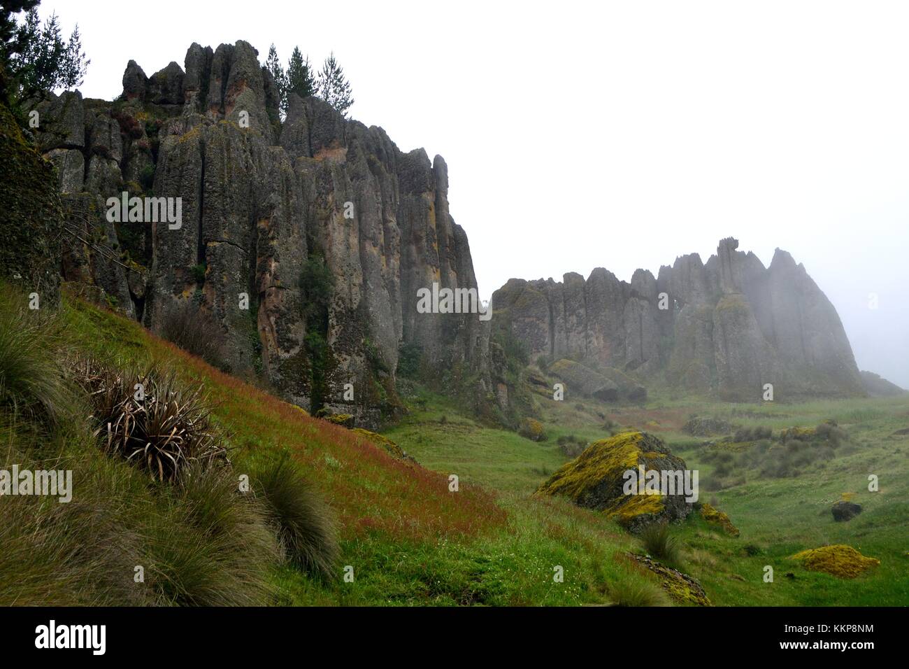Cumbemayo archeological site in CAJAMARCA. Department of Cajamarca ...