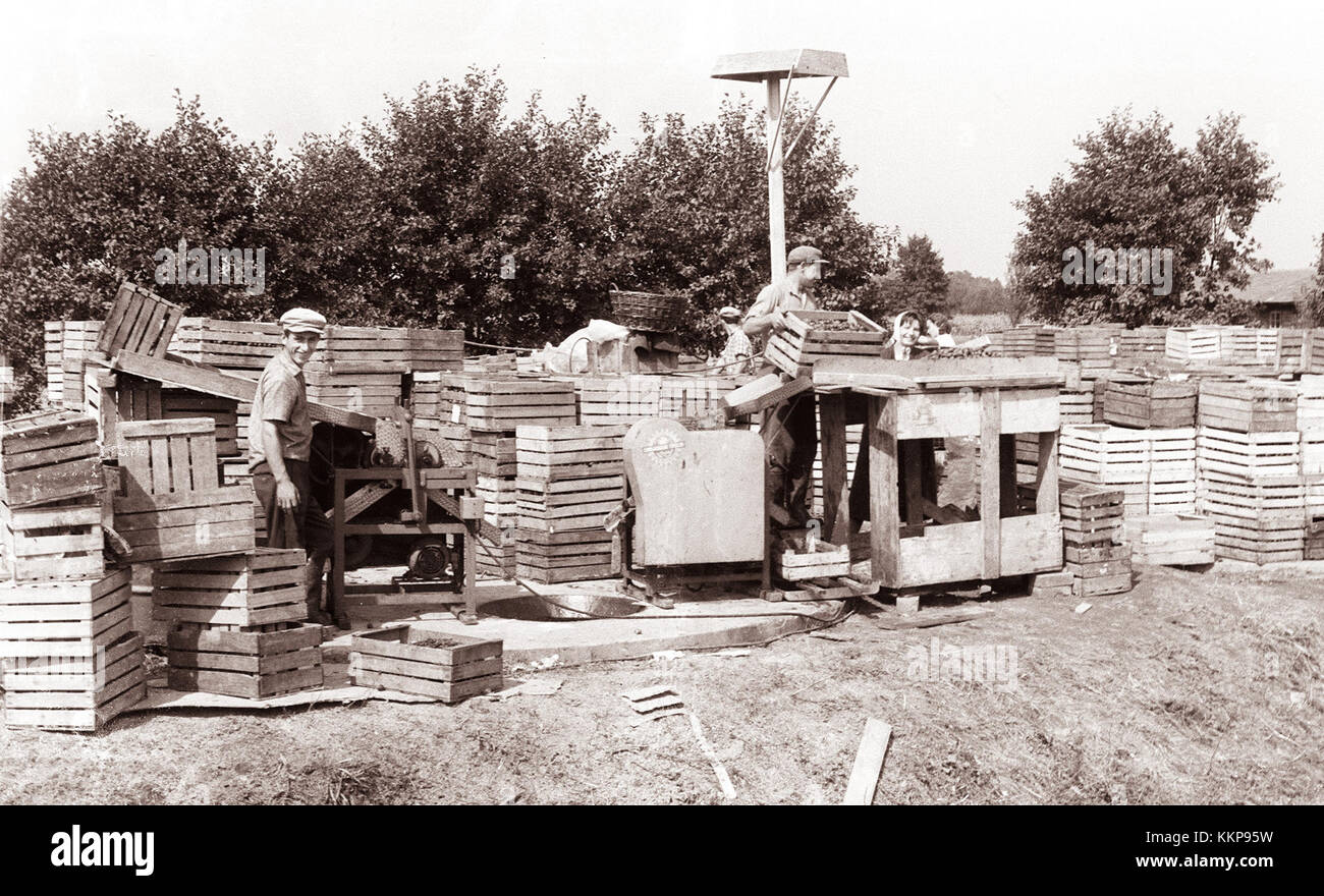 Sliv hi-res stock photography and images - Alamy