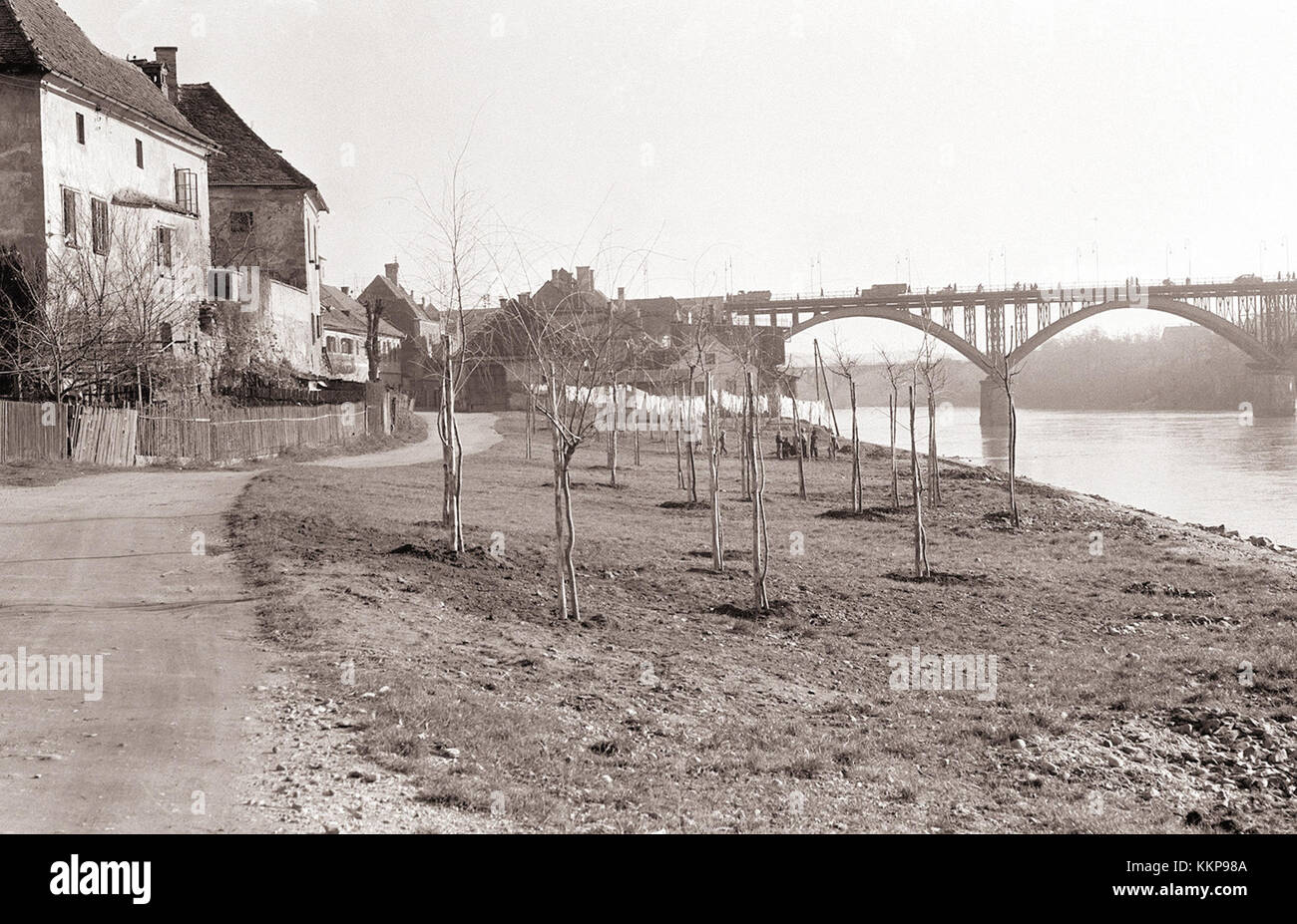 New heritage tree planting hi-res stock photography and images - Alamy