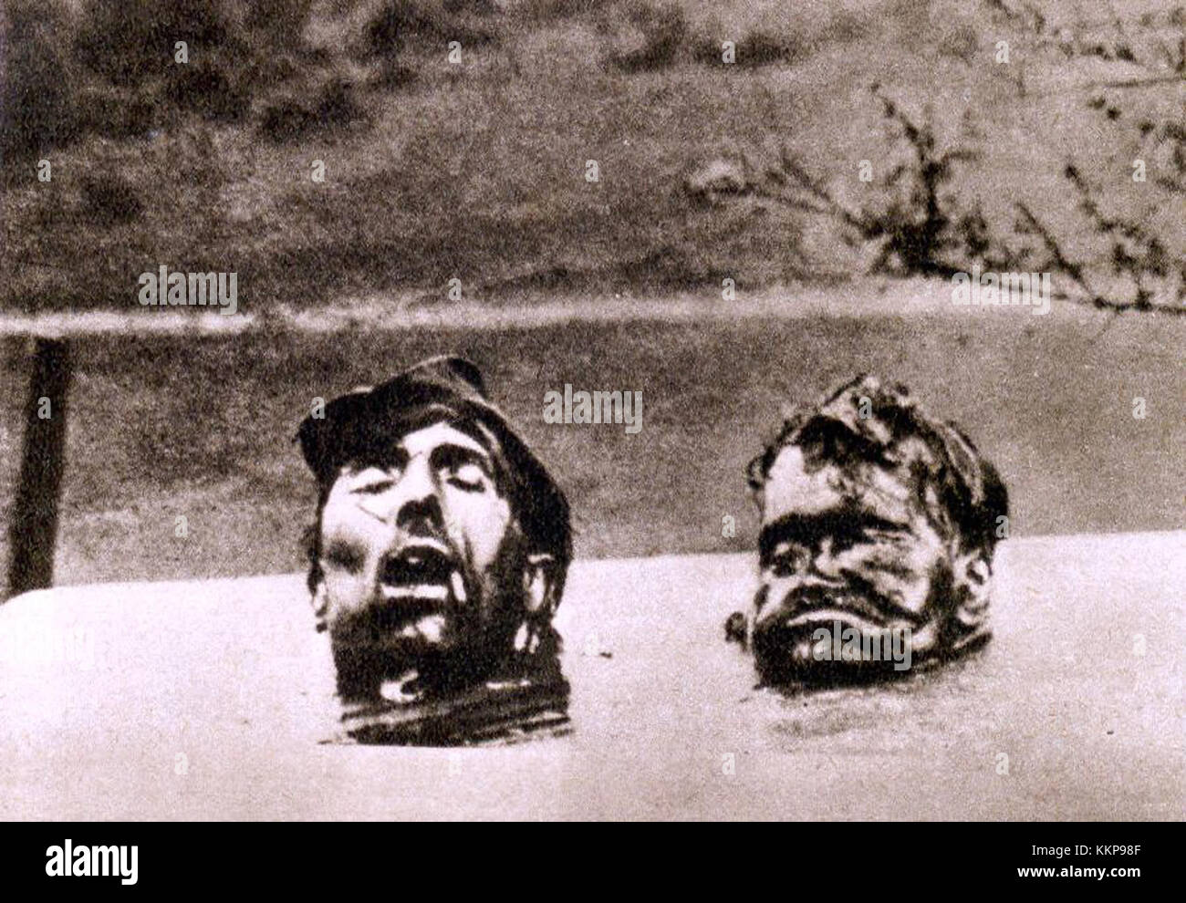 Photograph titled 'Odsekani glavi partizanov (2)', depicting severed ...