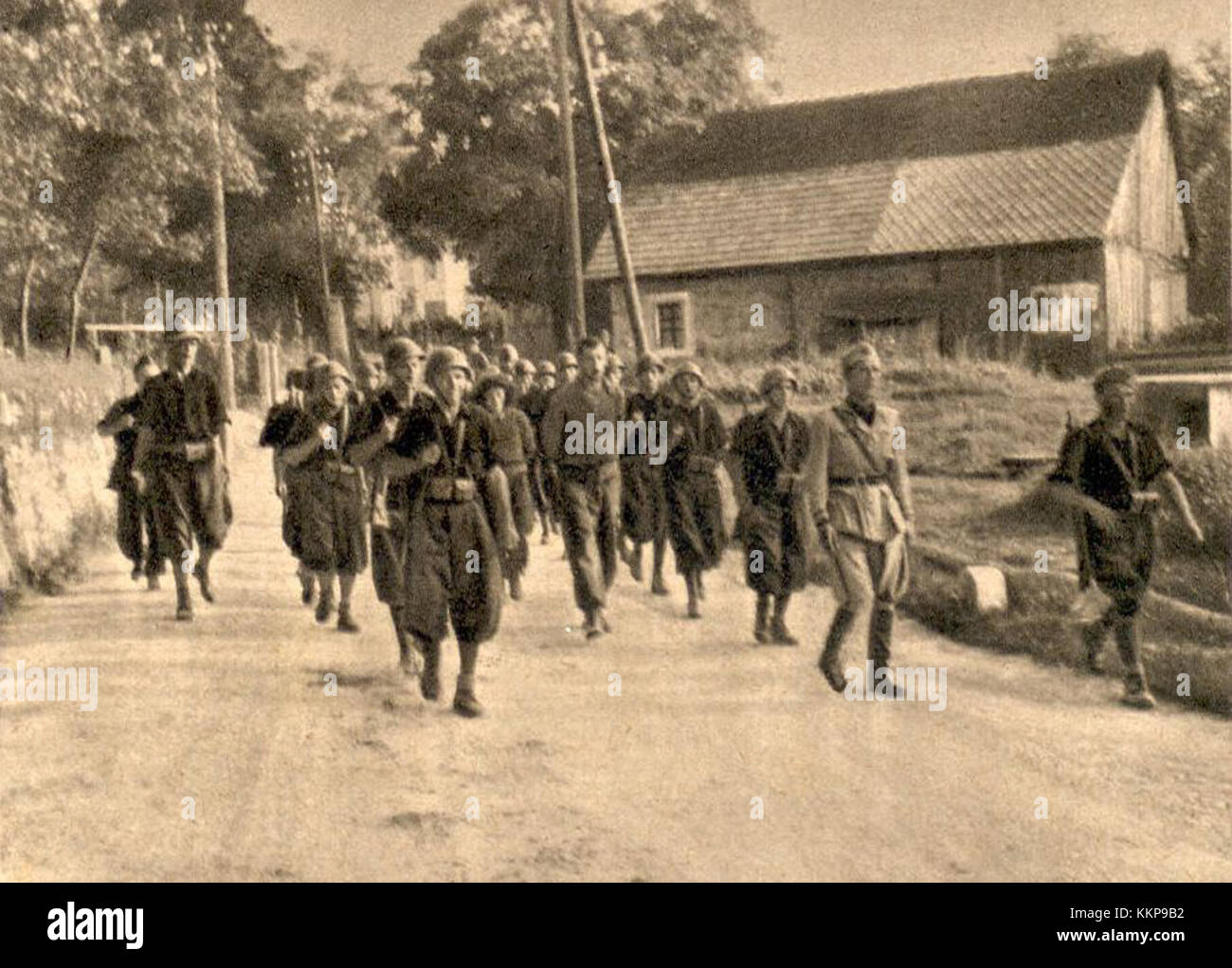 This image captures partisans during the World War II era, being led to ...