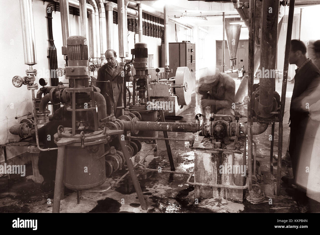 Photograph from 1961 of the Zlatorog Factory in Slovenia, an industrial ...