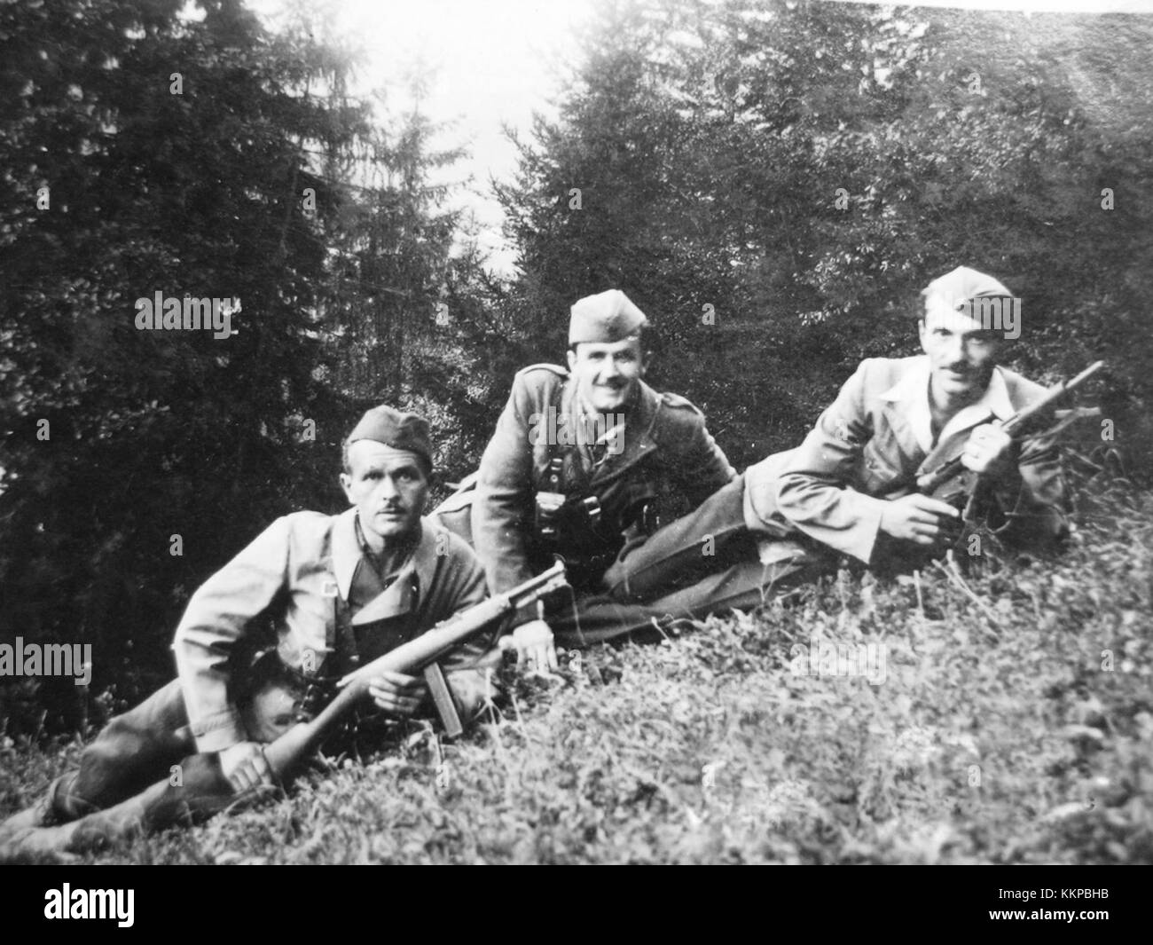 Dobravski partizani refers to the partisan group from the Dobravska ...