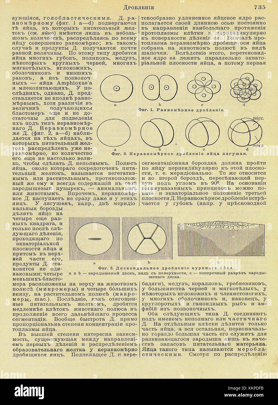 The Yuzhakov Big Encyclopedia is a comprehensive reference work. Entry ...