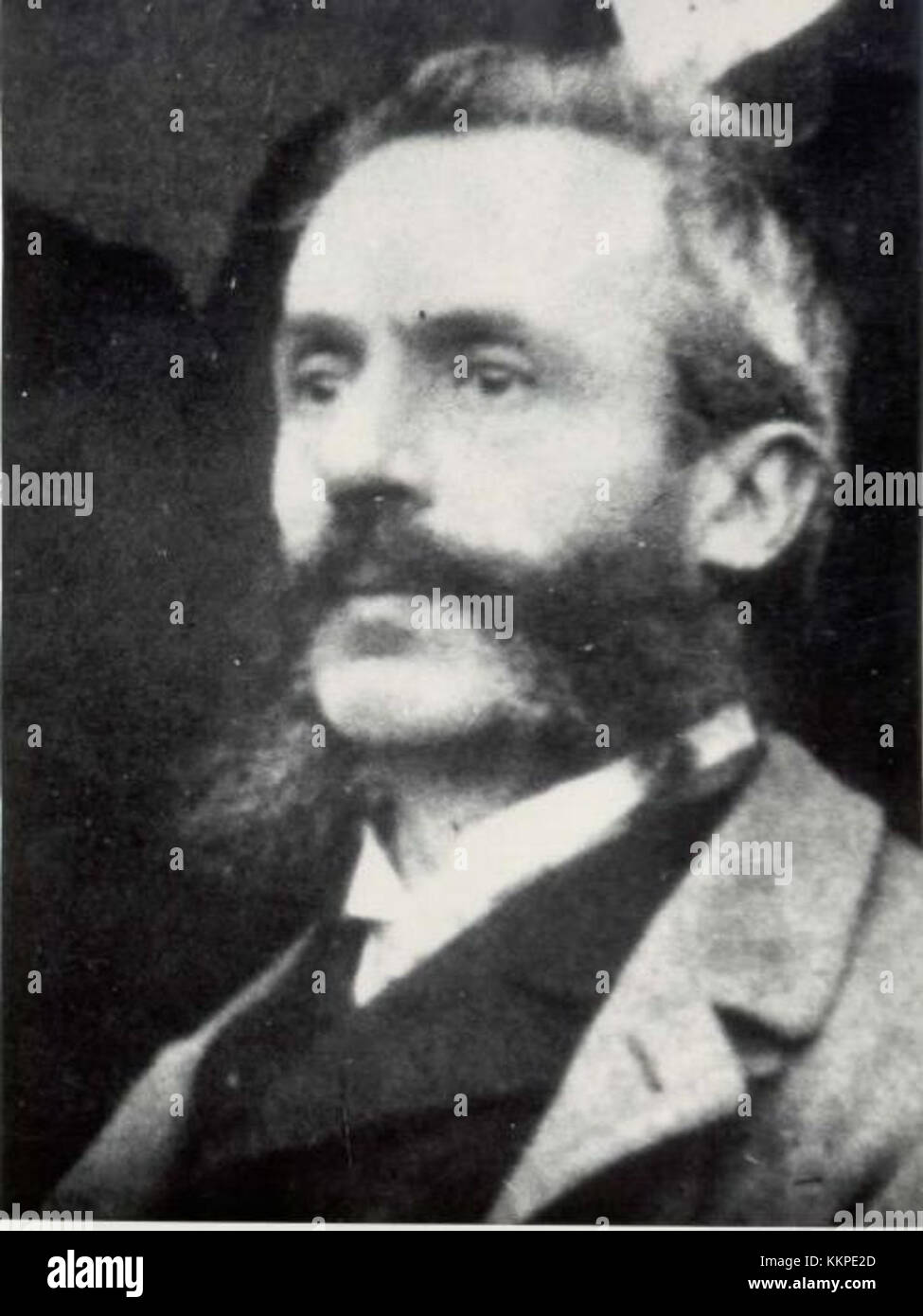 Mosche hi-res stock photography and images - Alamy