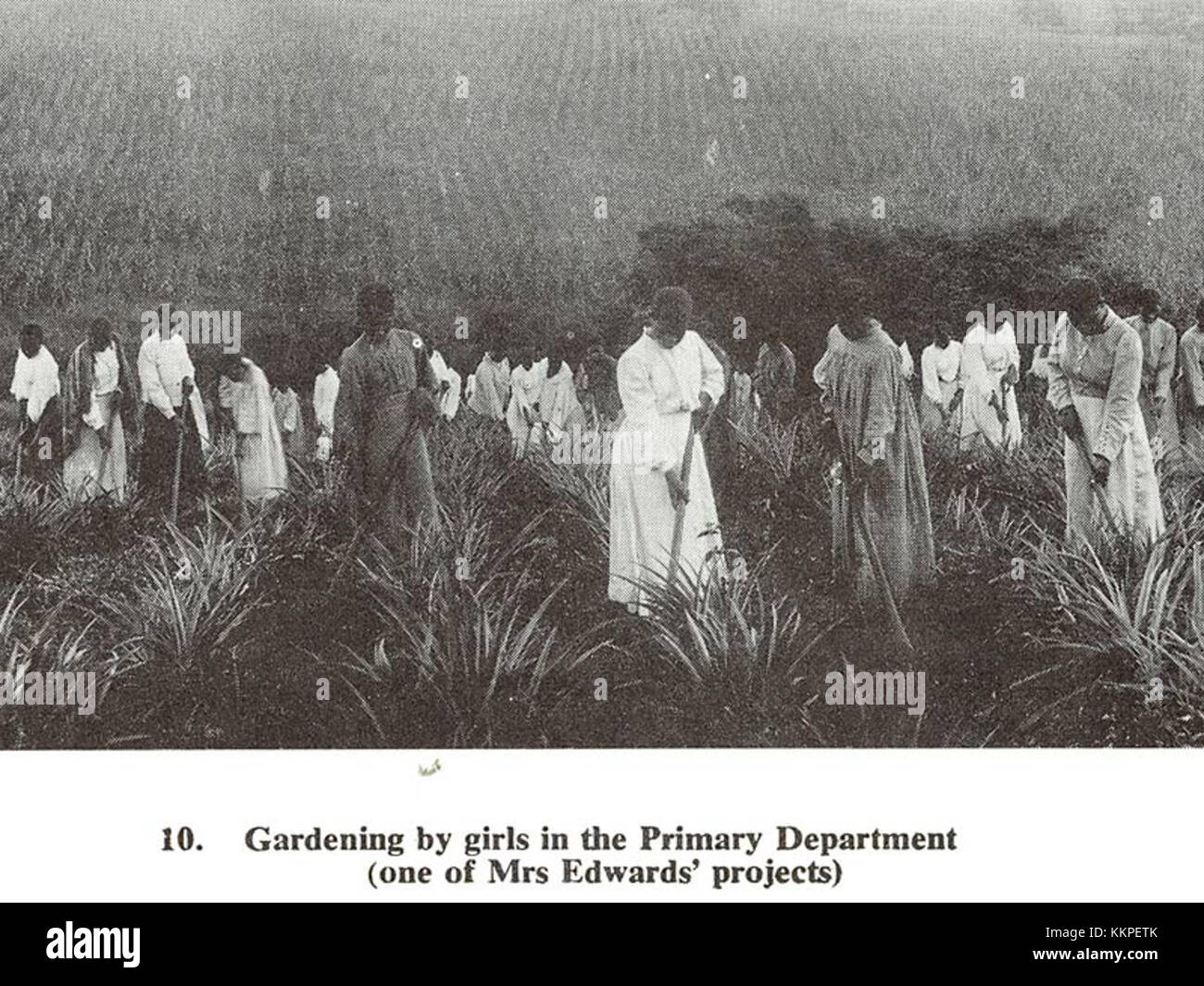 Inanda Seminary Girls Gardenimng for Mrs Edwards Stock Photo - Alamy