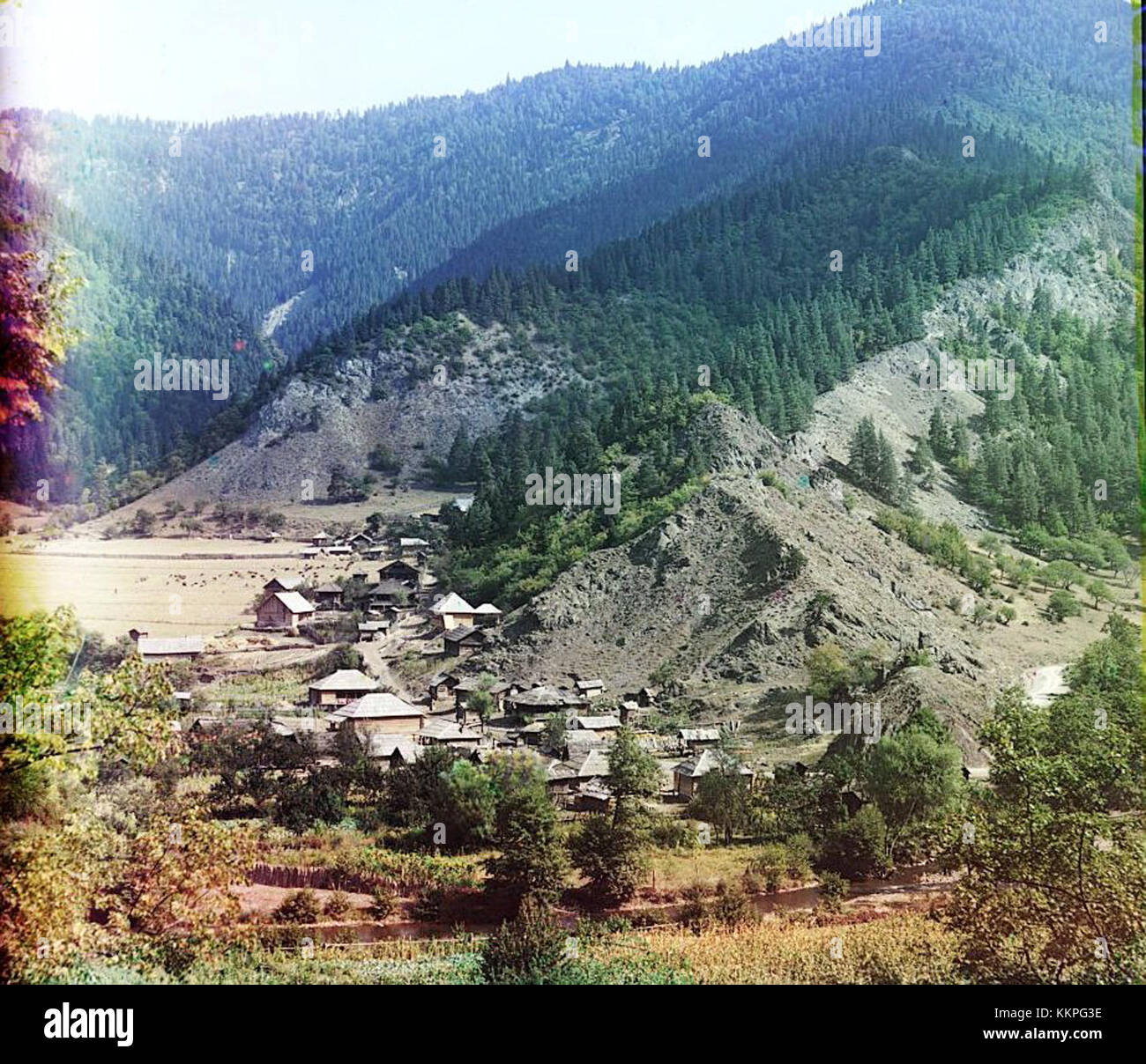 Tree plantation, View from Vrontsov plateau Stock Photo - Alamy