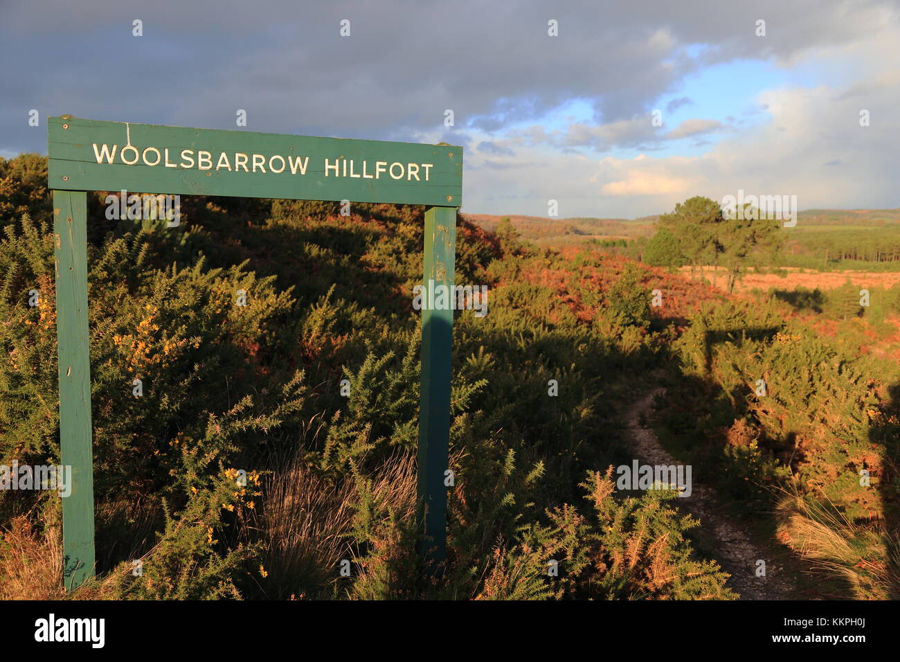 Wareham forest hi-res stock photography and images - Alamy
