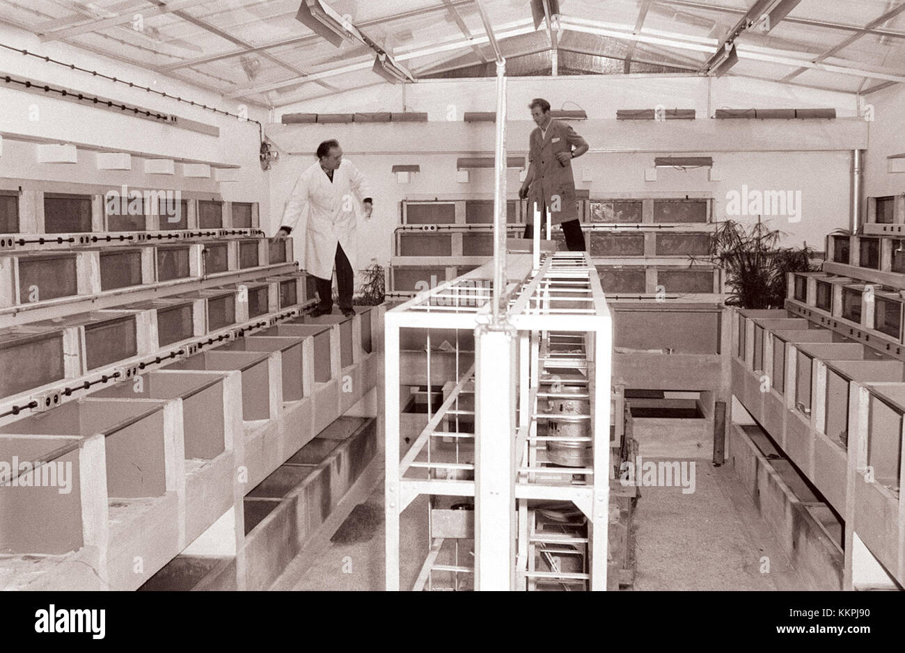 A historic image of the Nova Ribogojnica fish farm at the Mestni ...