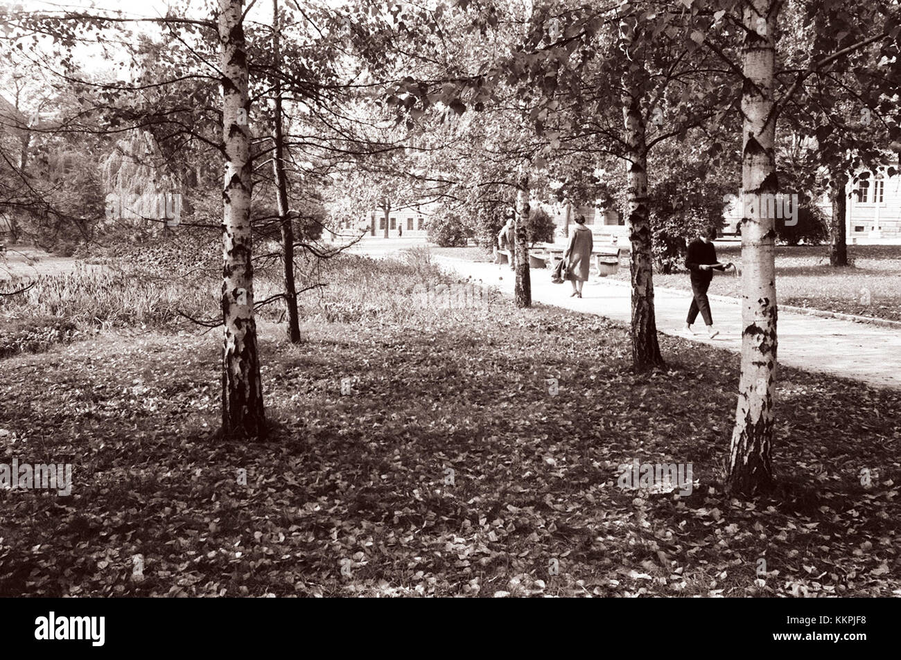 This image, taken in 1960, depicts autumn in a park. The photograph ...