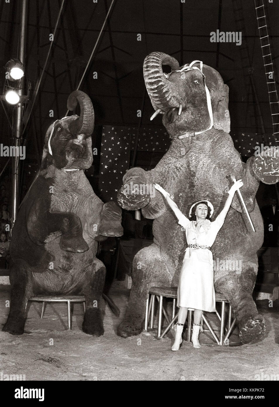 The Austrian Medrano Circus performed in Maribor in 1957. This circus ...