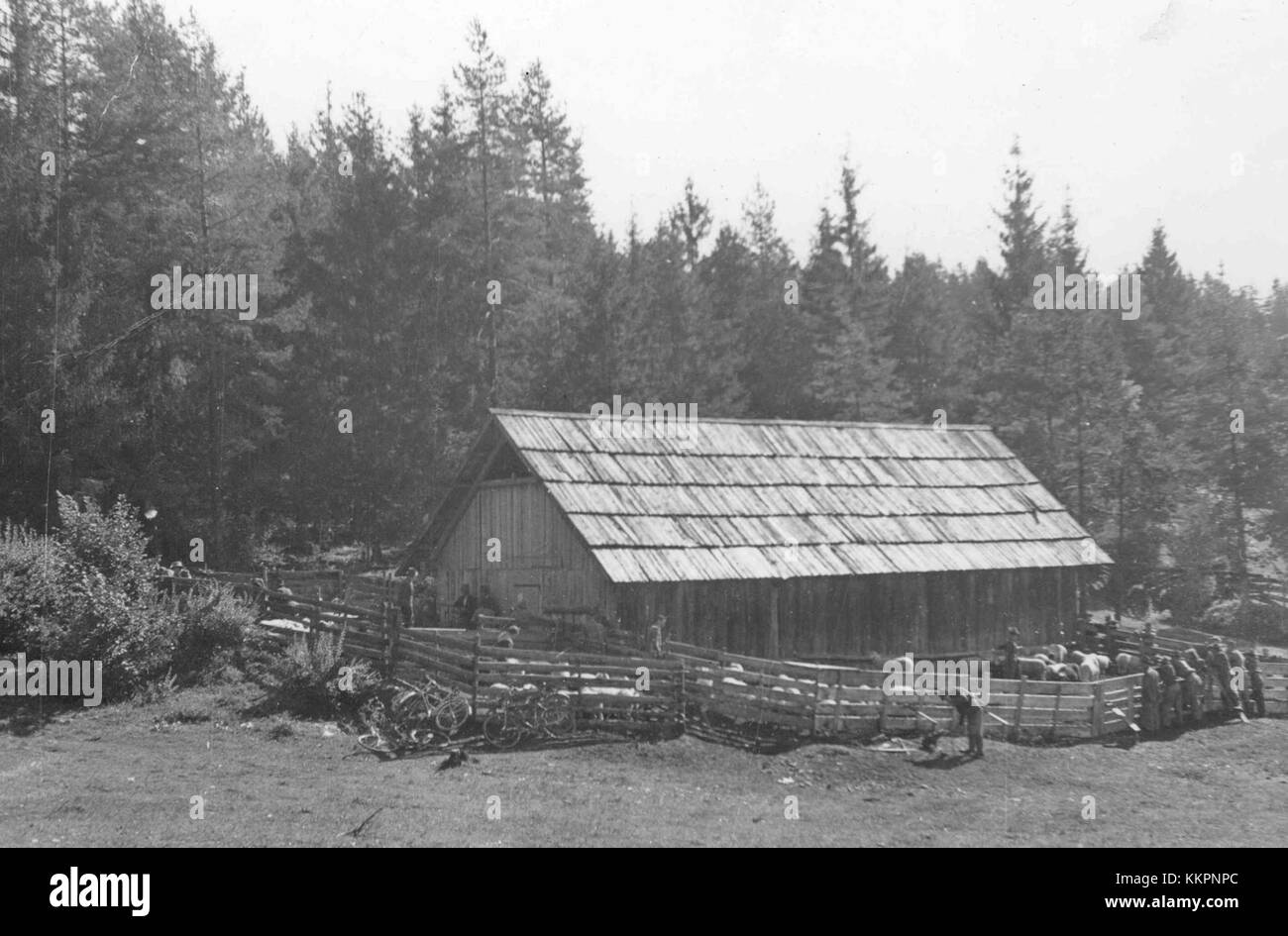 The collective sheepfold in Borljah, built in 1951, serves as a ...