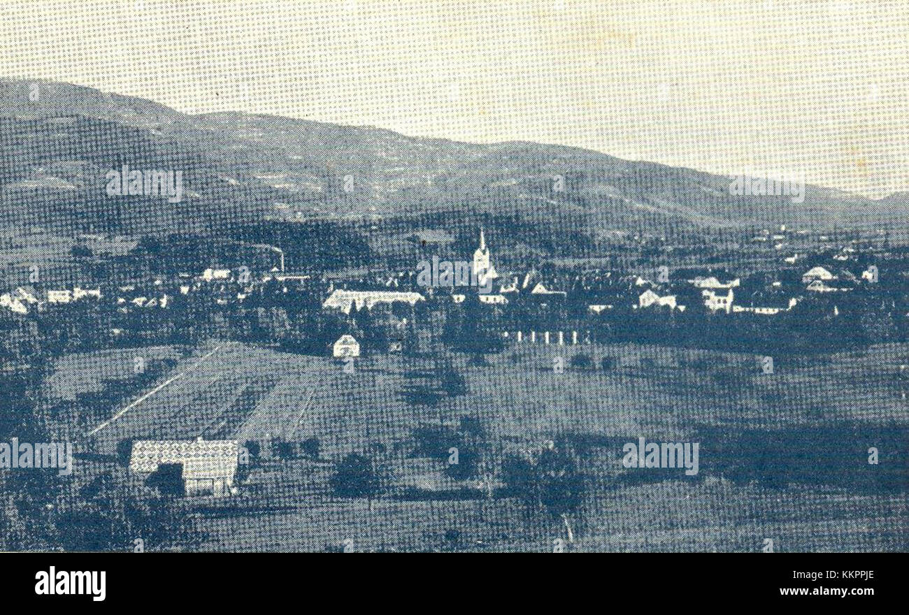 This 1918 postcard depicts Slovenj Gradec, a town in Slovenia, highlighting its architectural ...