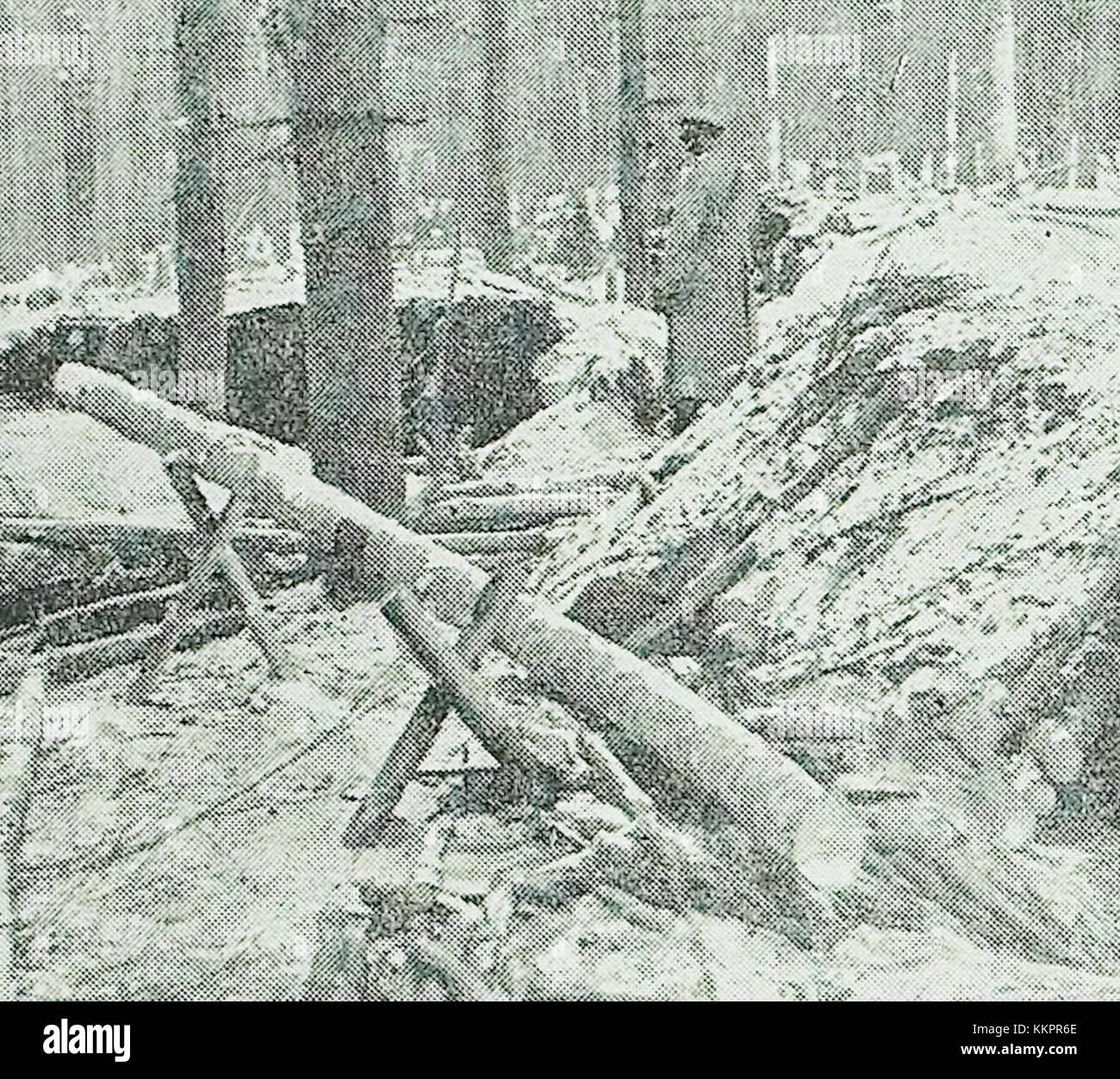 The Bunkerji Pohorskega Bataljona is a military structure associated ...