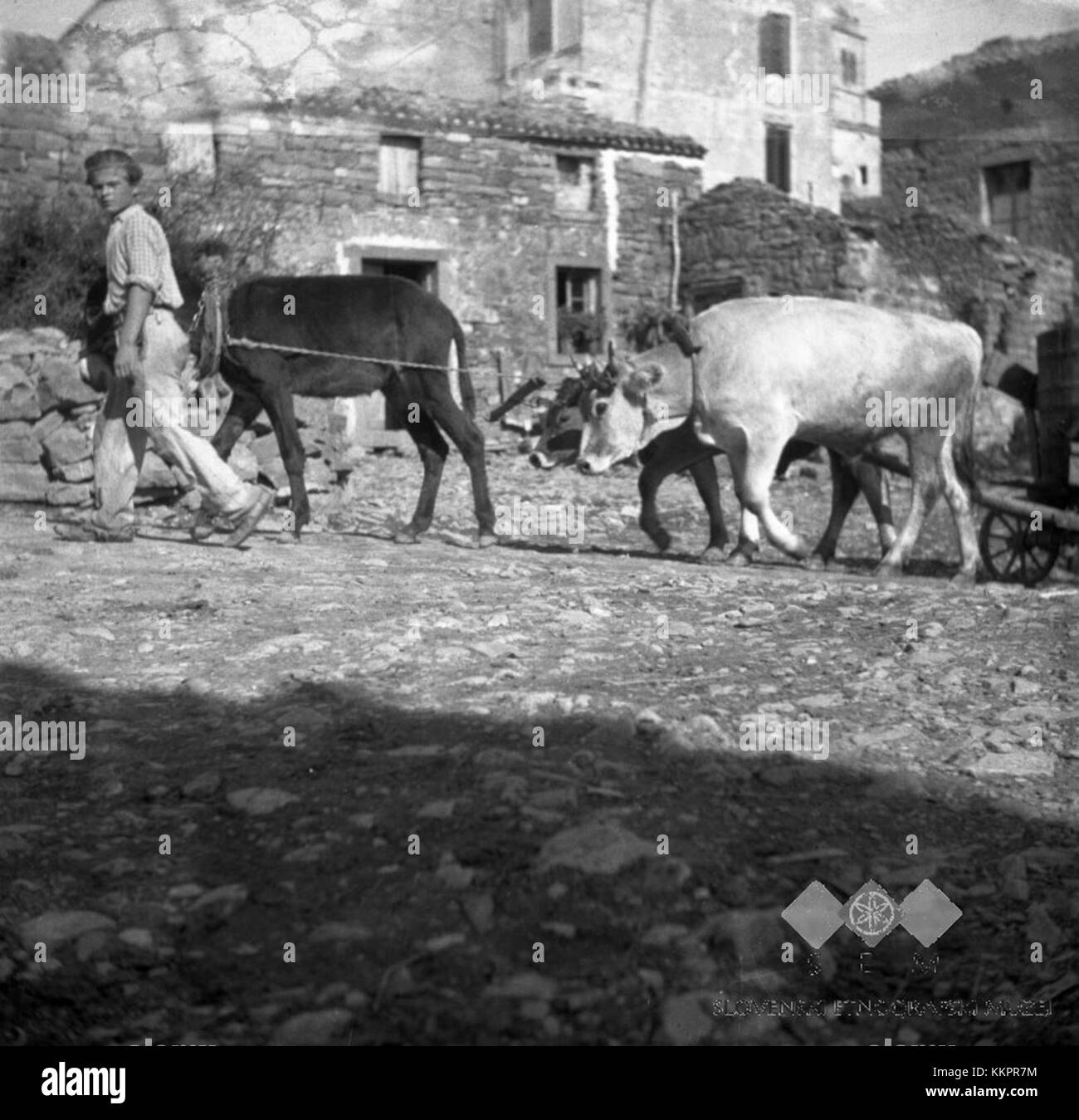 Domestic scene featuring Black and White Stock Photos & Images - Alamy