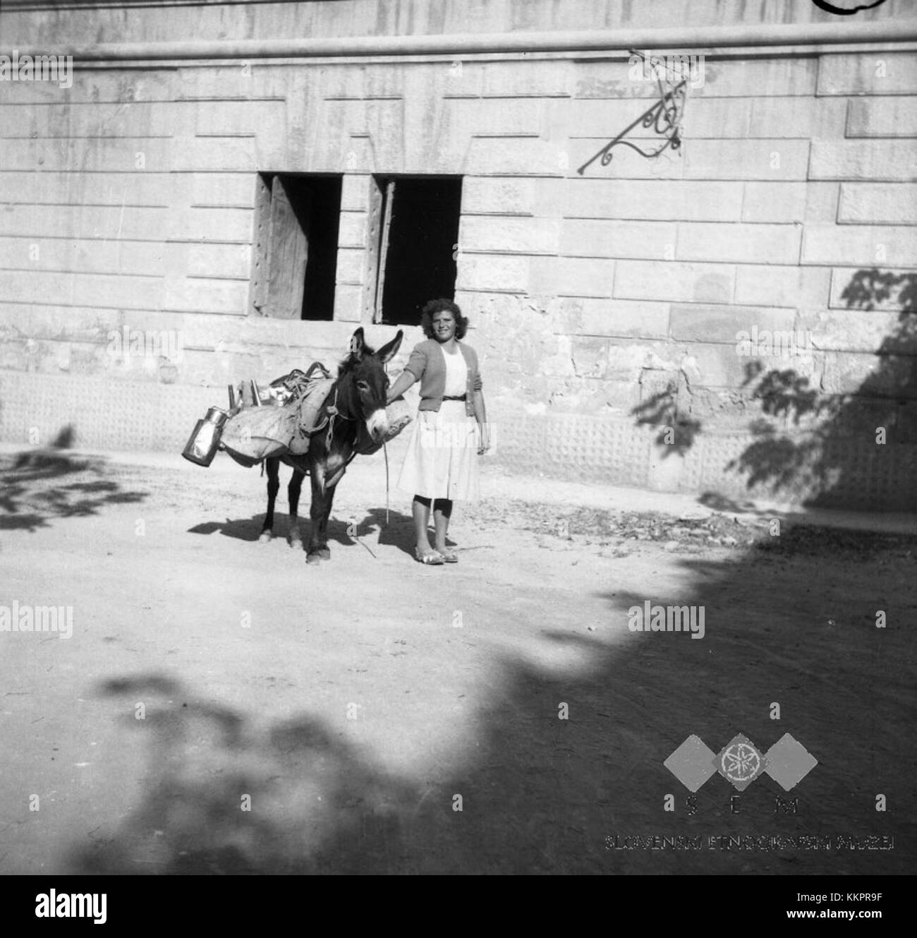 A 1949 postcard depicting a donkey in the square in front of the town ...