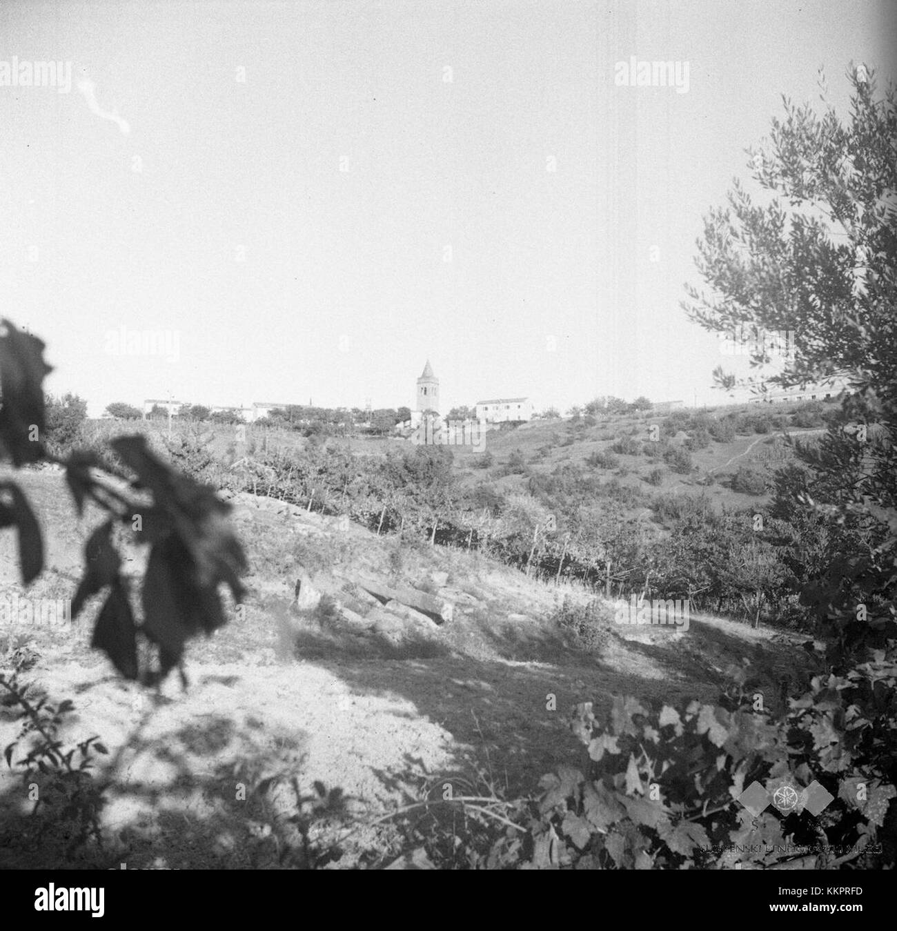 Marezige, located on the western side of Sabadinov in 1950, is a ...