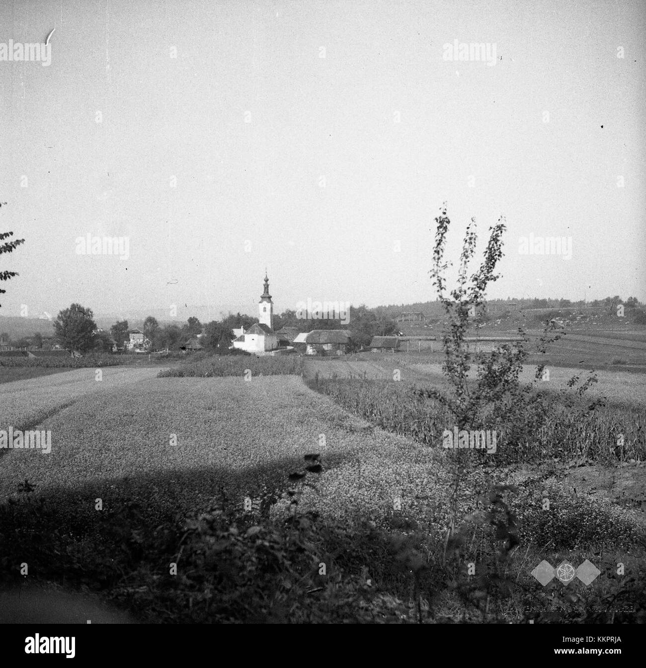 A panoramic view of Dob from 1950, showing a wide landscape with ...