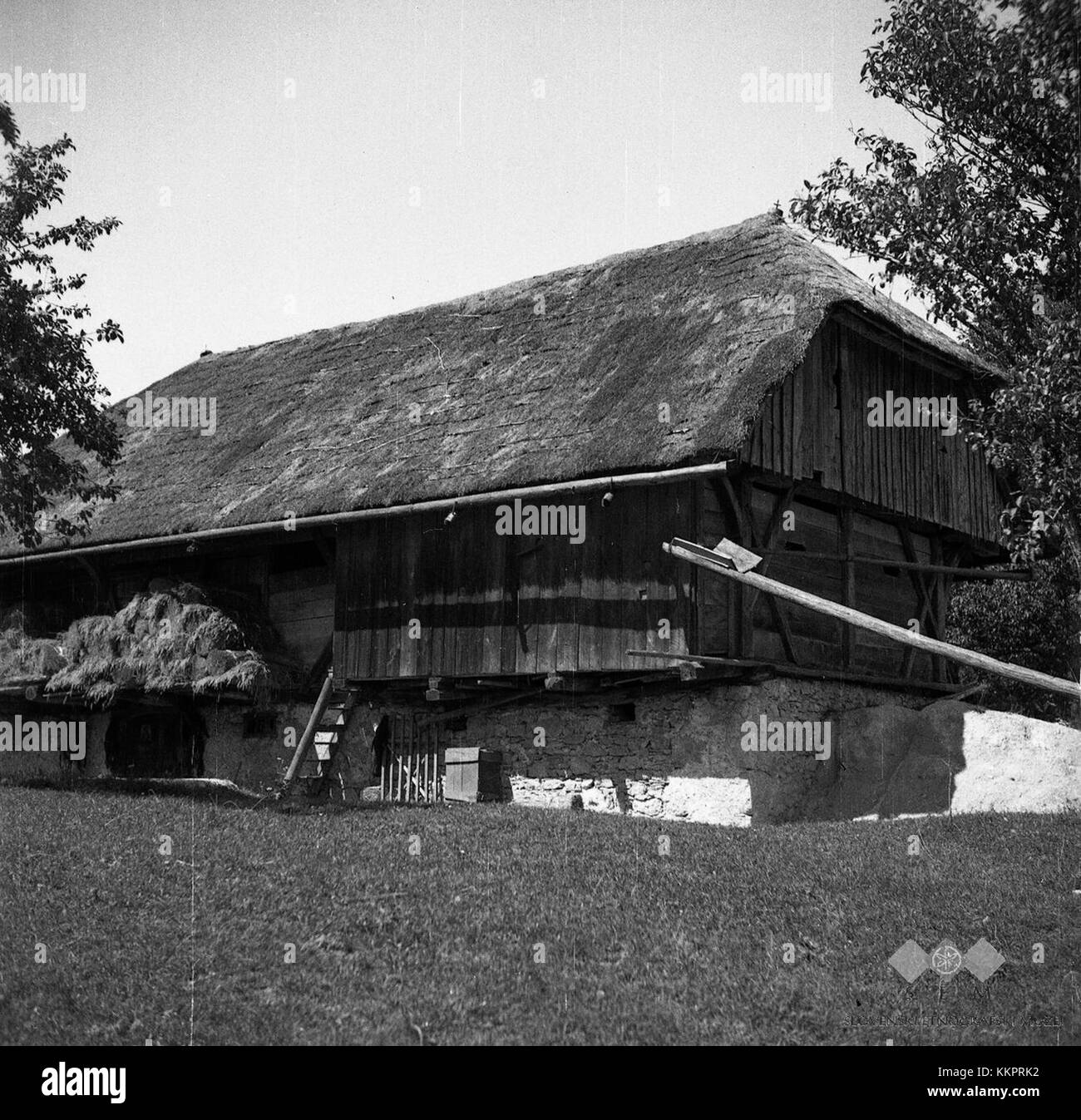 Pod na Butalah, Glogovica, pri Anabal 1950 Stock Photo - Alamy