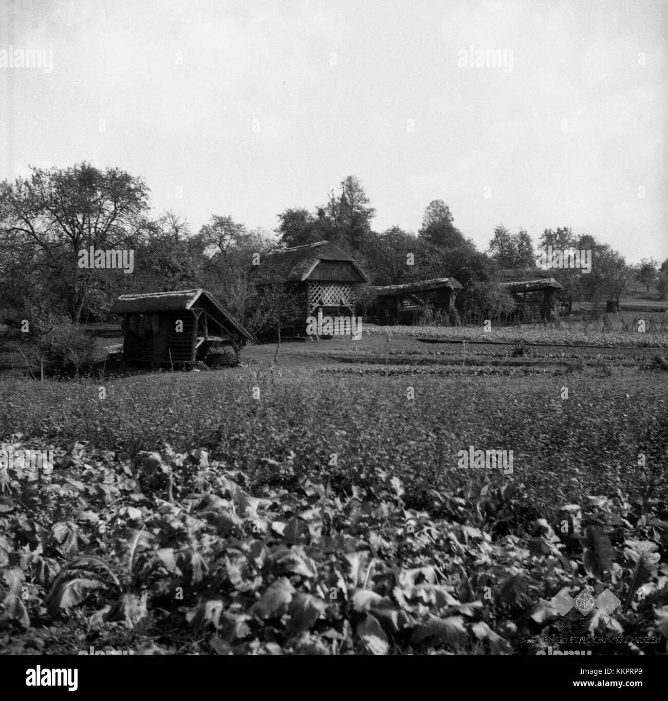 Kozolci High Resolution Stock Photography and Images - Alamy