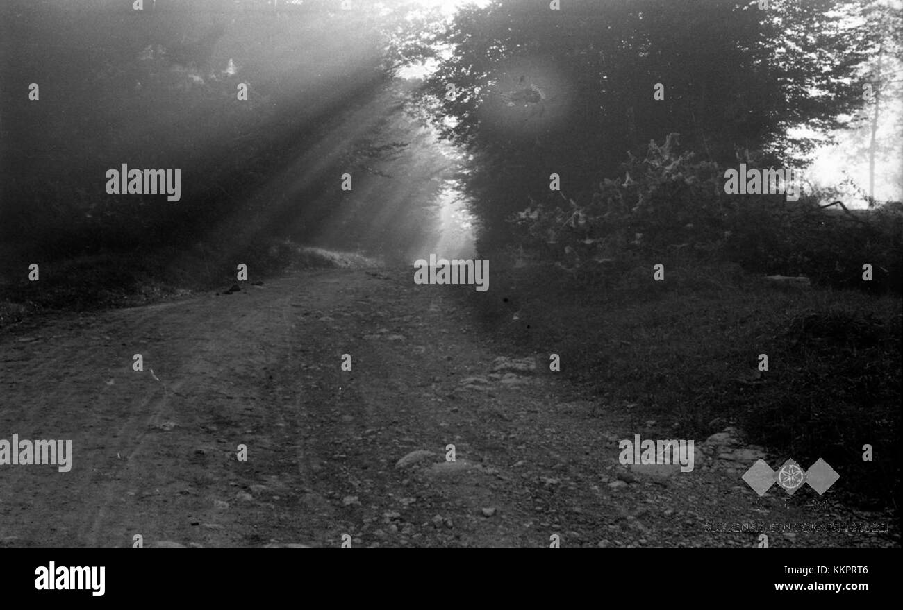 This photograph, taken in 1951, depicts a scenic path leading to Sv ...