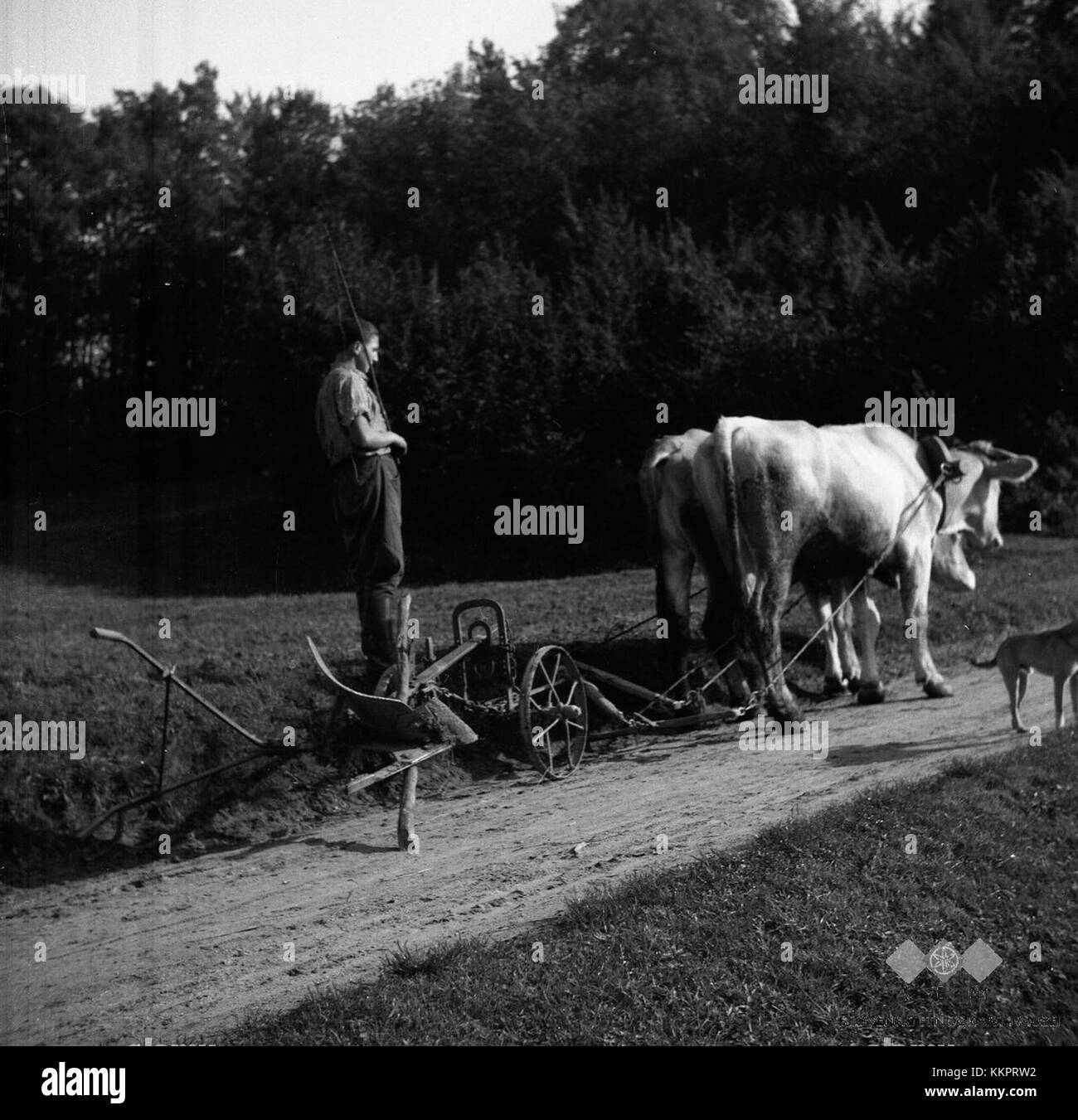 1950s farm equipment hi-res stock photography and images - Alamy