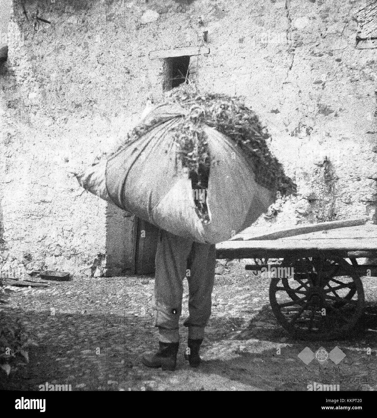 Nese Black and White Stock Photos & Images - Alamy