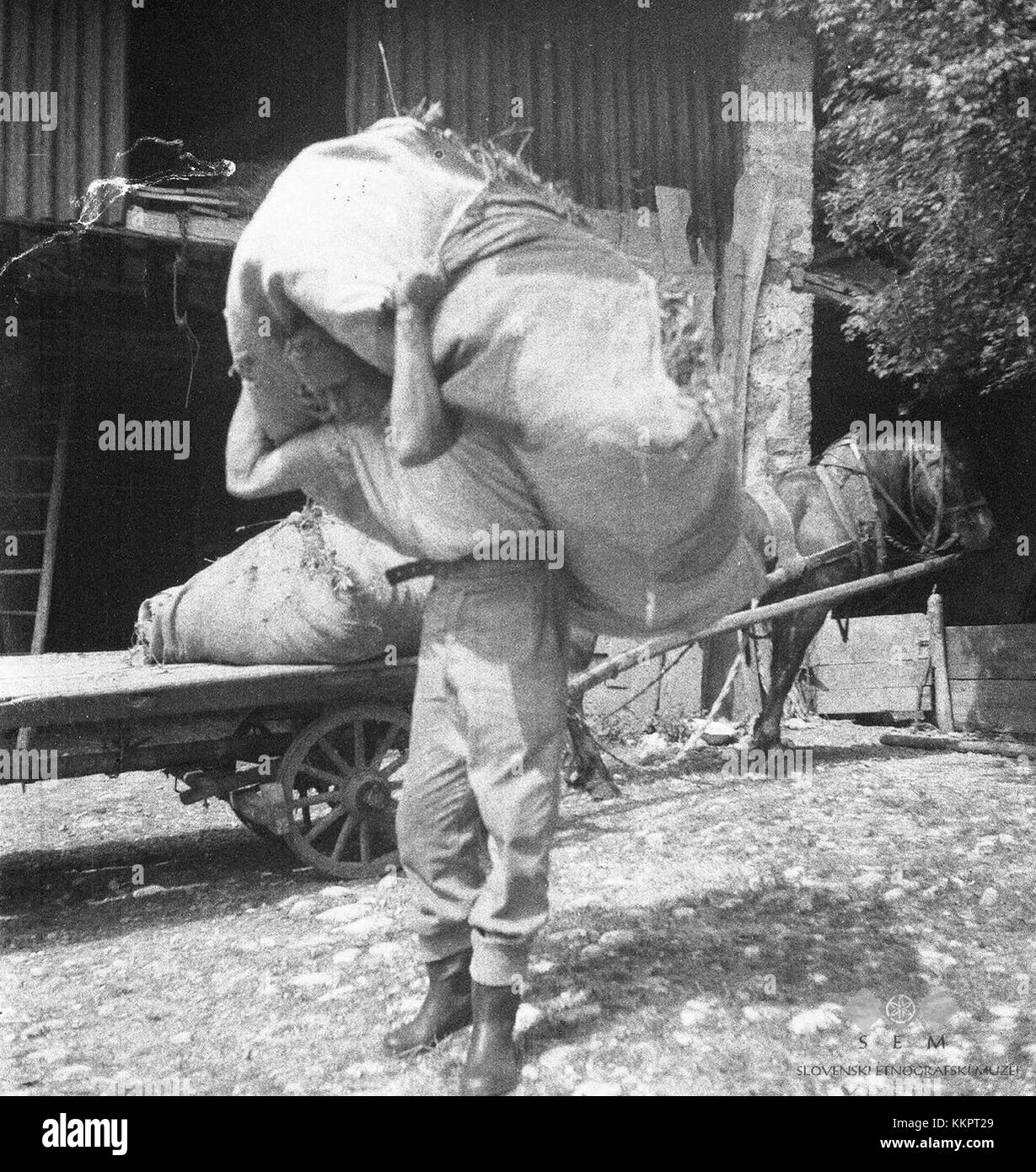 A photograph from 1951 depicting rural life in the village of Staro ...