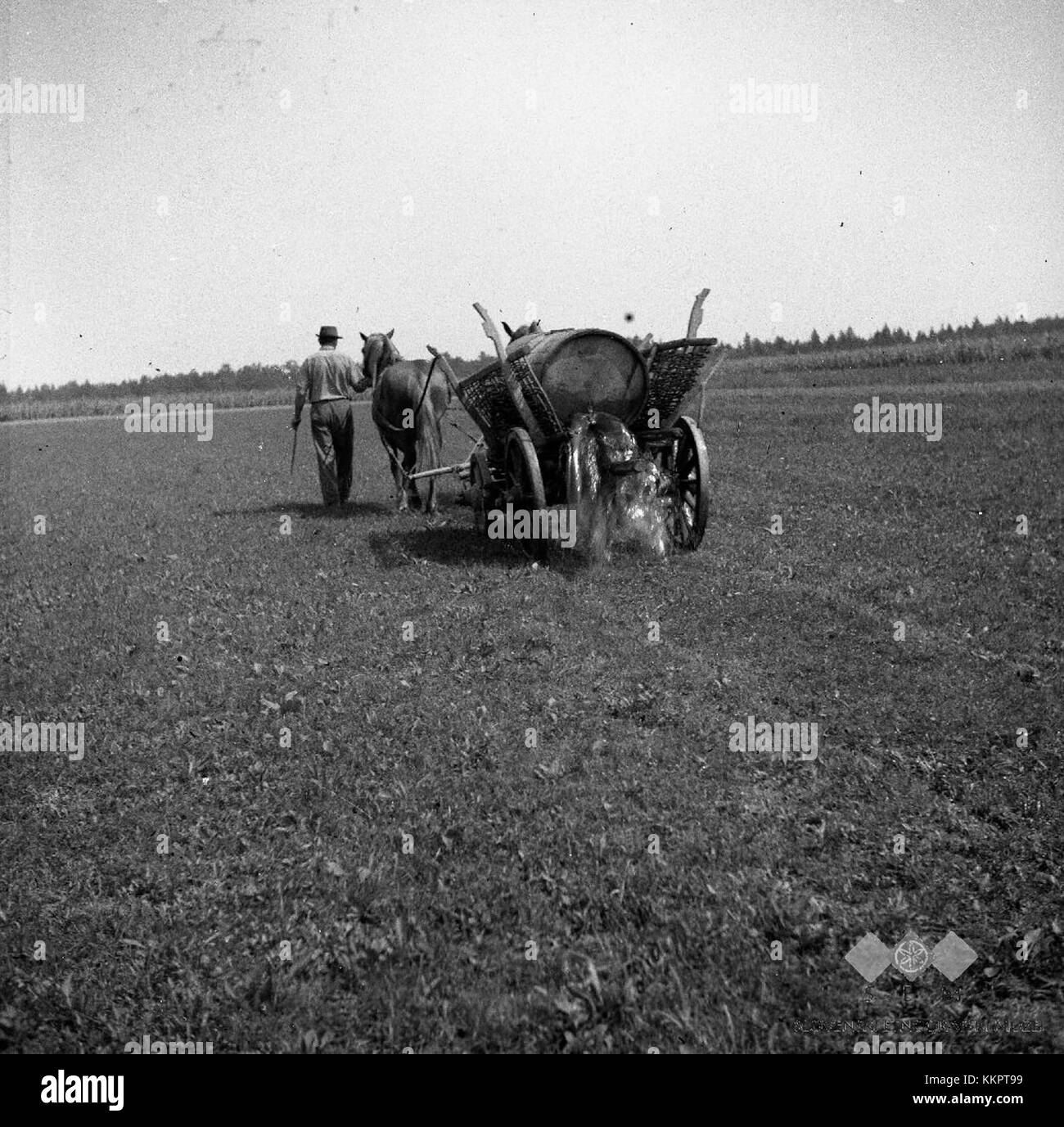 This photograph, taken in 1952, shows a rural scene in Dolenji ...