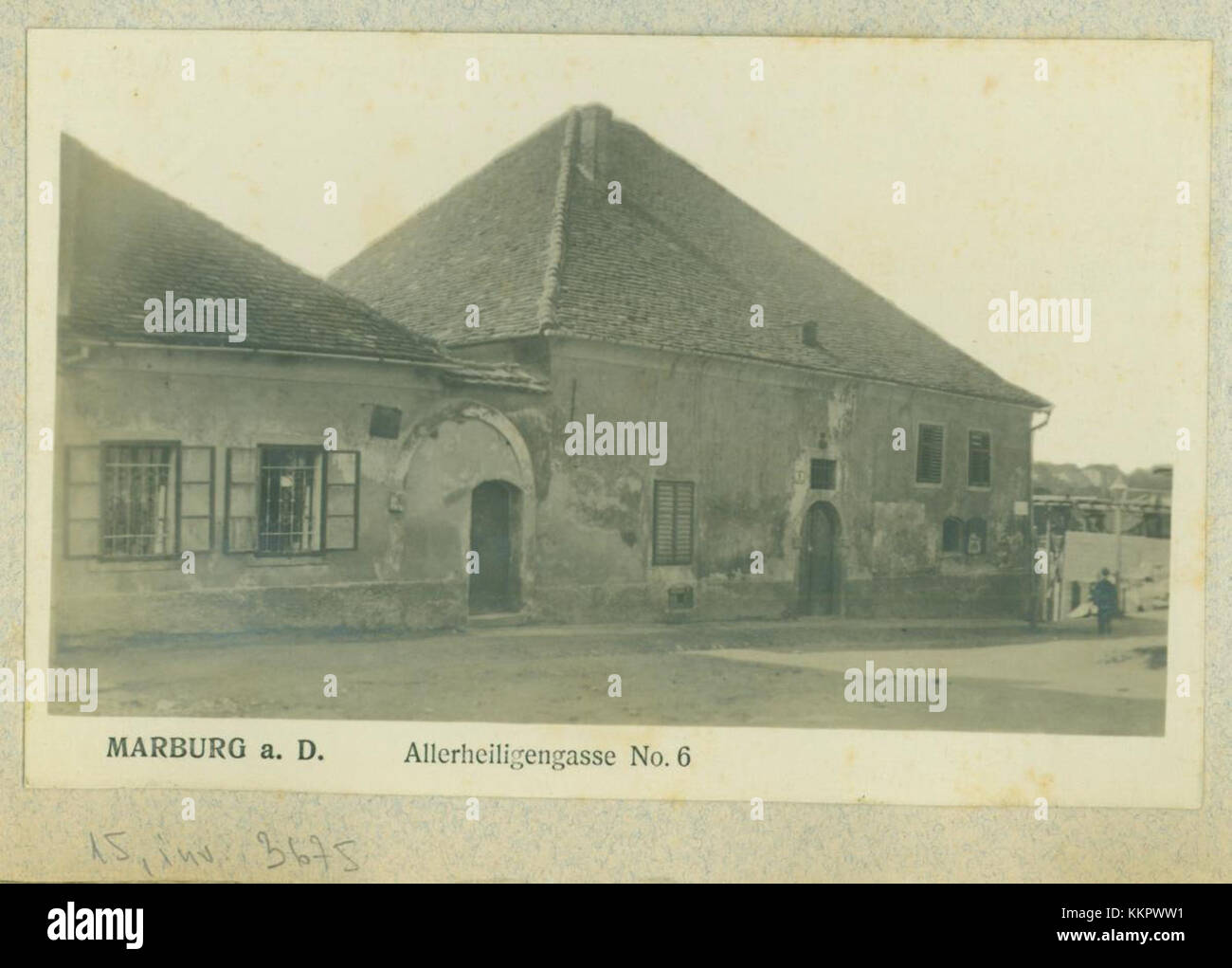 A 1903 postcard collection curated by Dr. Amand Rak, featuring bird's ...