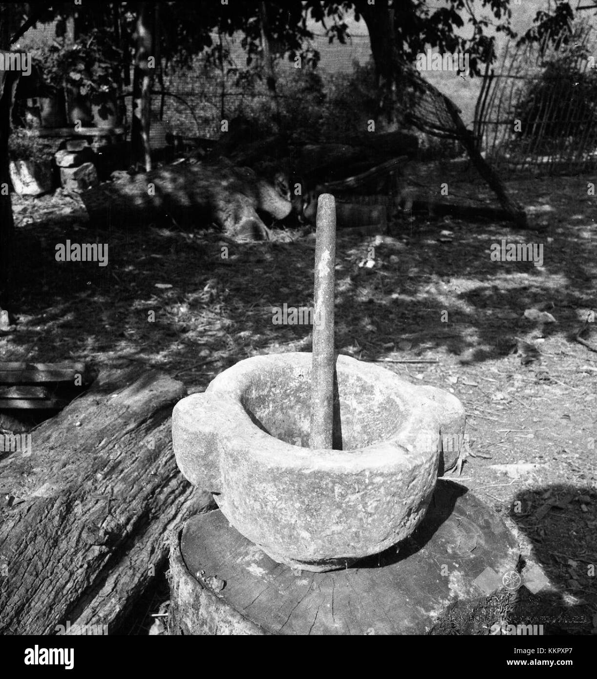 Vedrijan Black and White Stock Photos & Images - Alamy