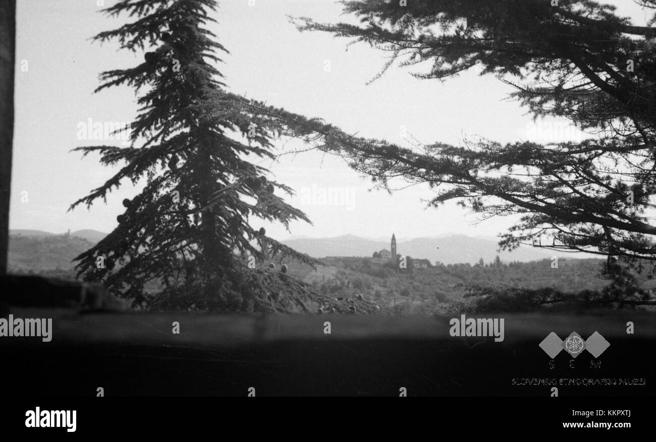 A photograph titled *Biljana 1953 (4)*, possibly documenting a scene ...