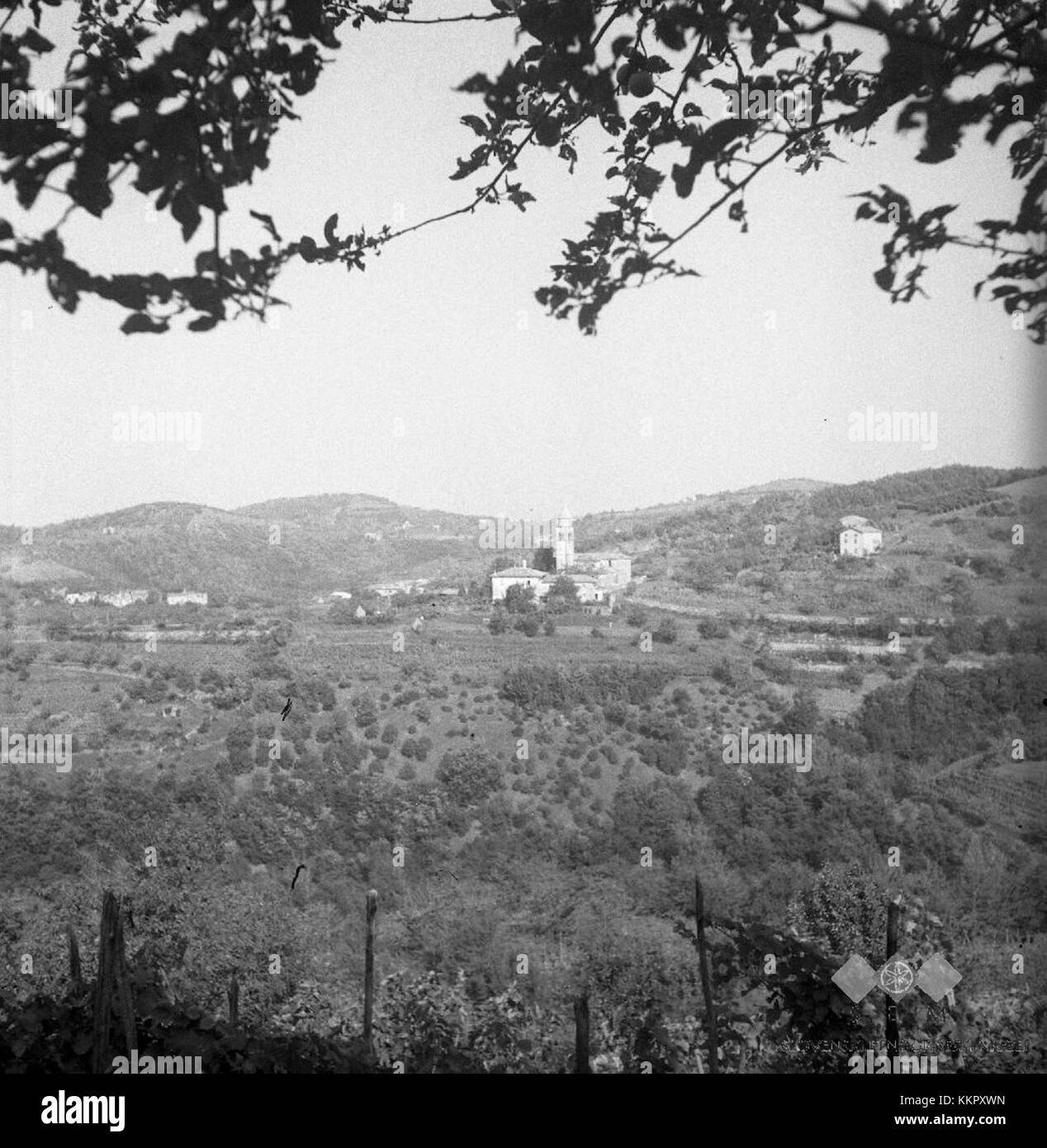 Biljana is a notable figure, likely from the 1953 era, associated with ...