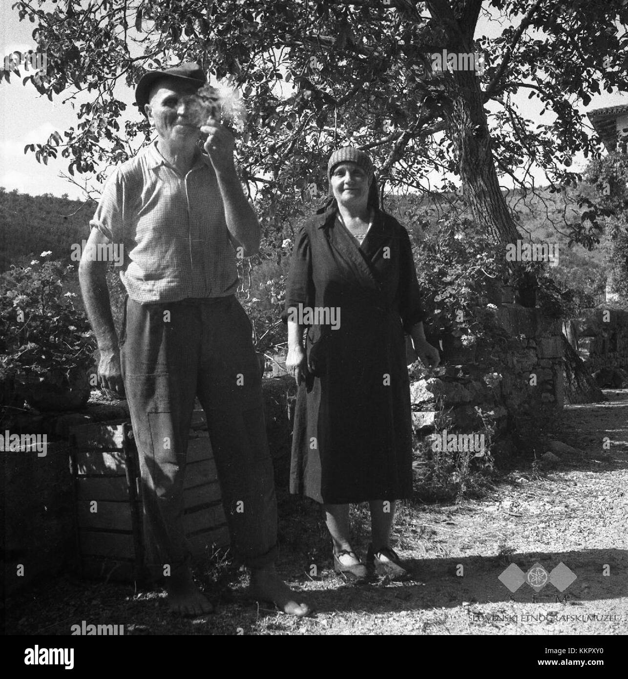 Peter Bajt in Hvalica Amalija, Golo Brdo, 1953, refers to a significant ...