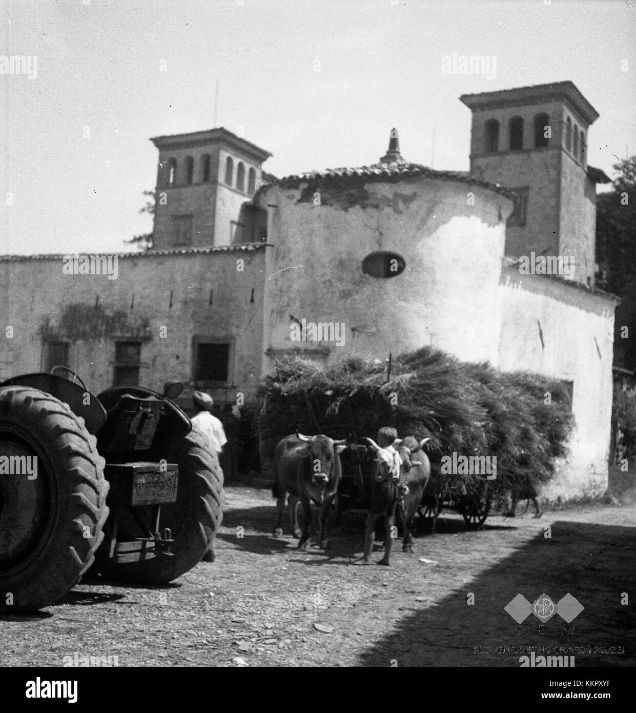 This photograph, taken in 1953, depicts workers threshing grain near ...