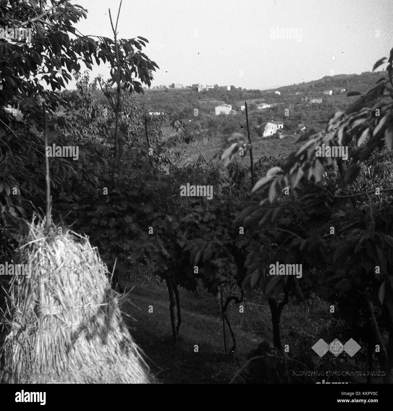 The town of Hum, located in Istria, Croatia, is one of the smallest ...