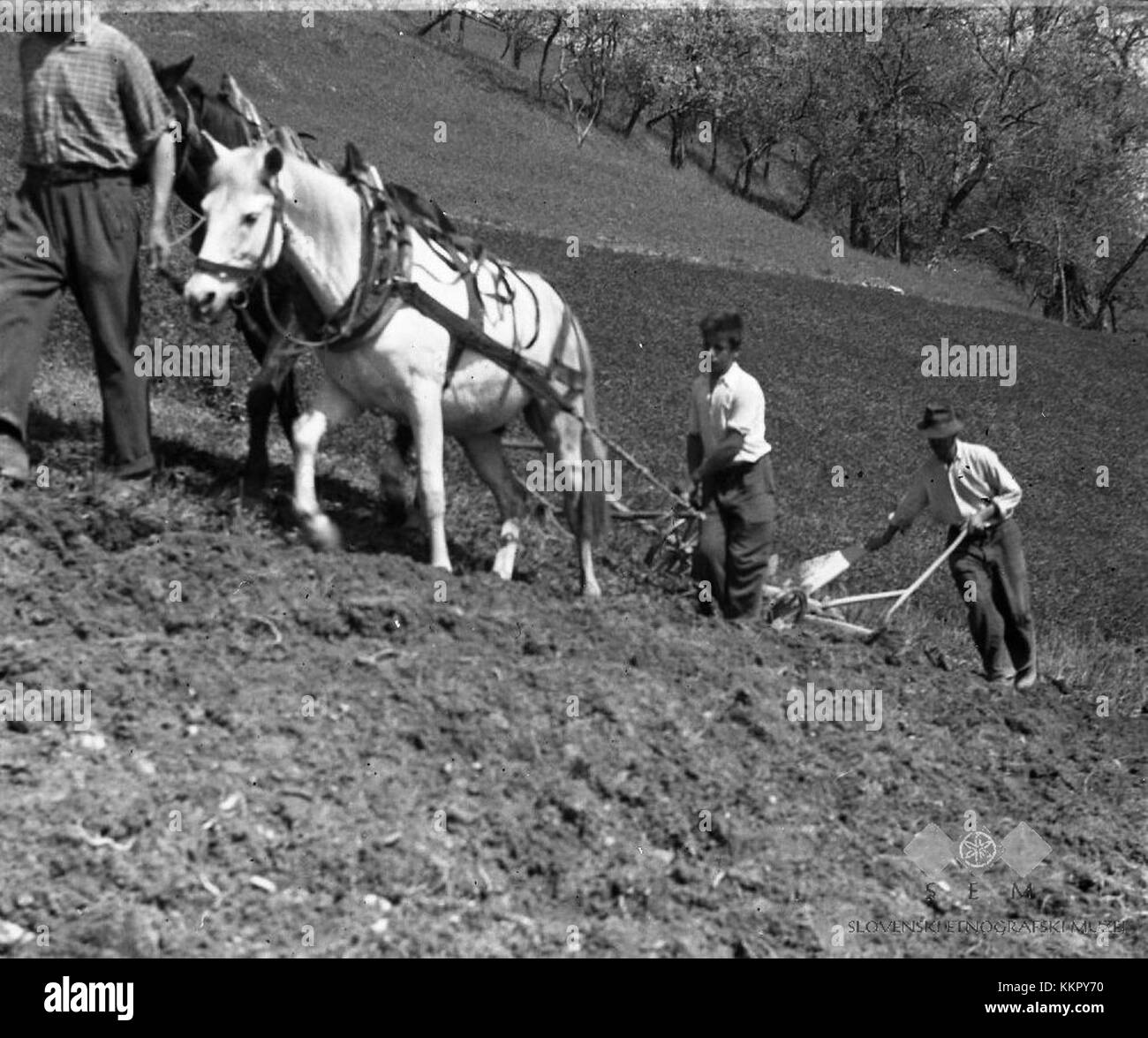 Starimi hi-res stock photography and images - Alamy