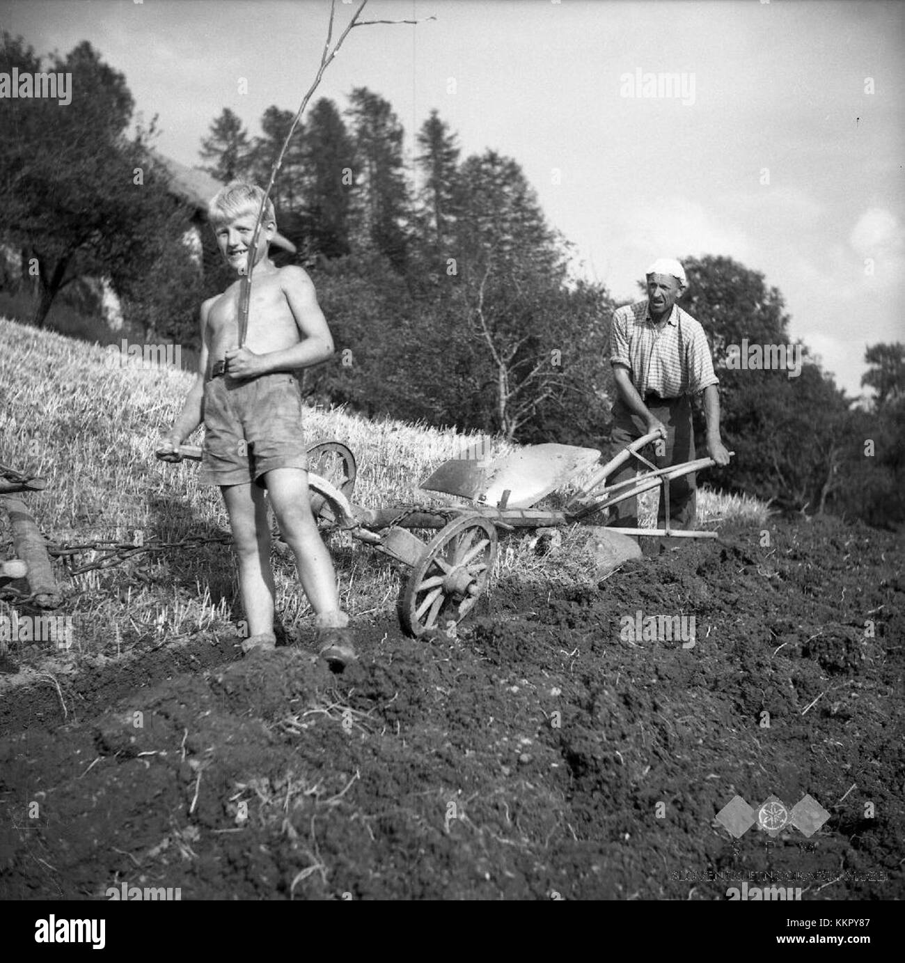 This image depicts farmers from Bukovega using a double plow for ...