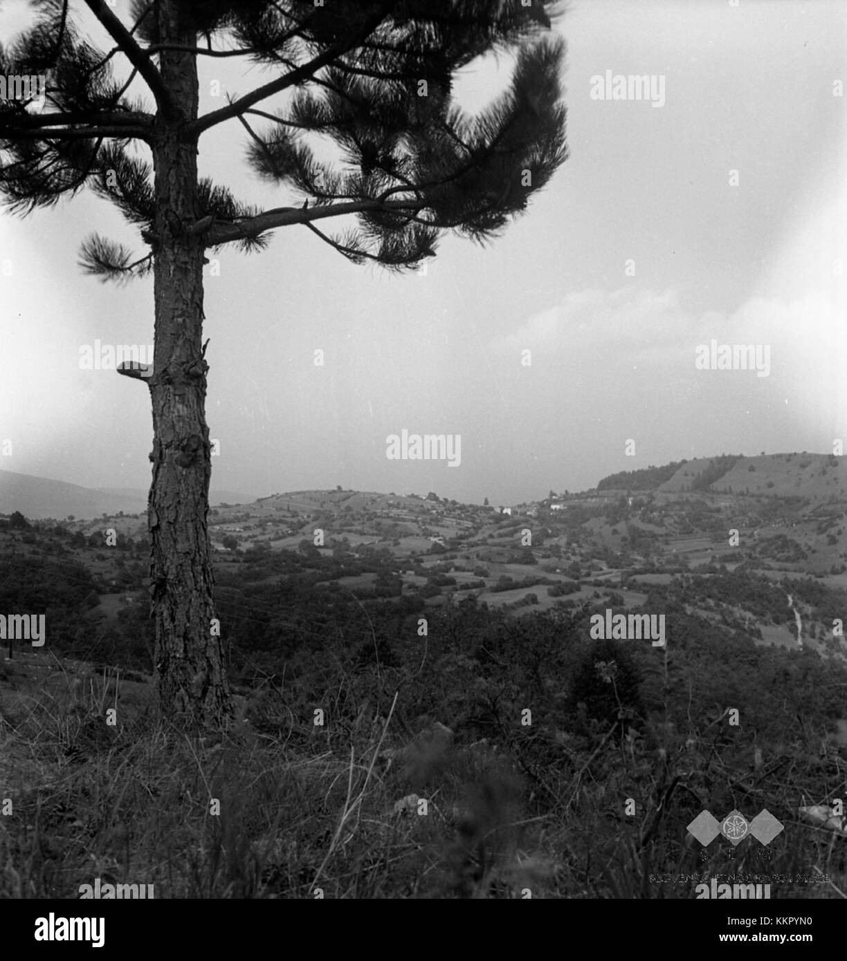 The photograph titled *Pogled proti Barki* (View towards the Bark) from ...
