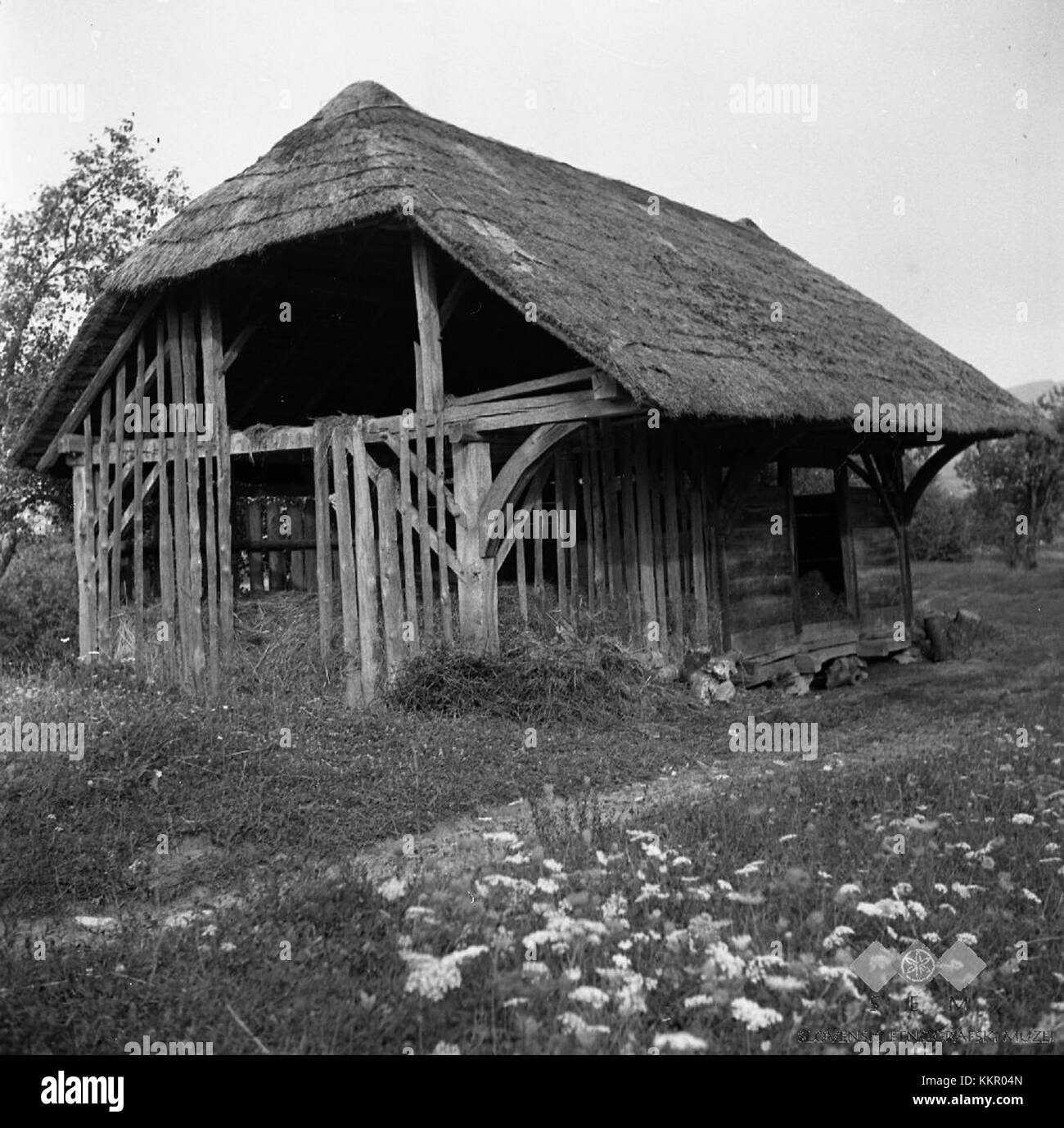 Snica hi-res stock photography and images - Alamy