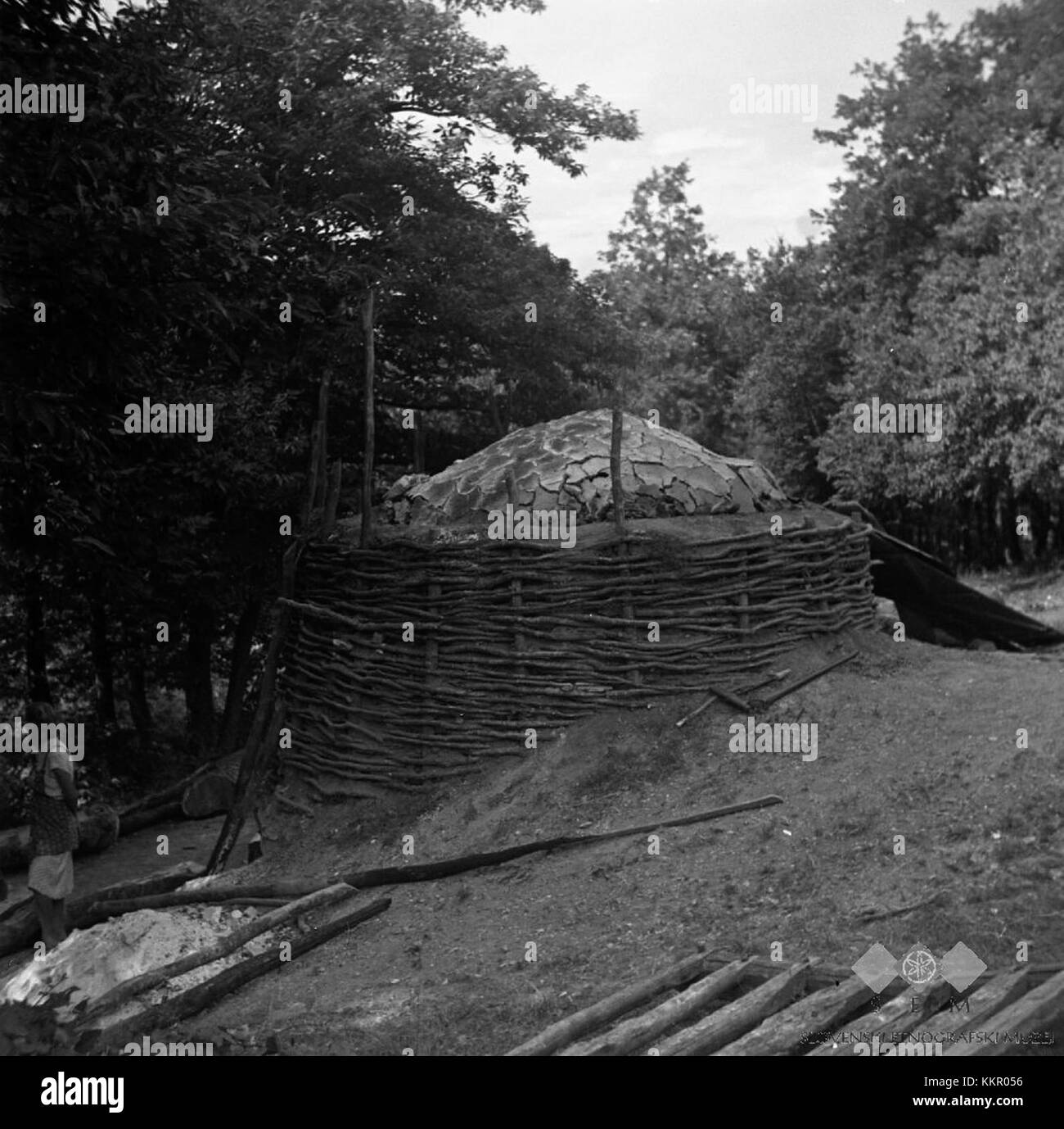 This image captures a traditional scene from Male Vodenice, Serbia, in ...