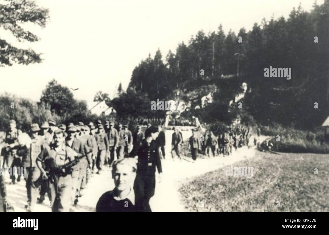 Ujeti Vermani II, a polka performed in Mozirje, Slovenia, showcases the ...